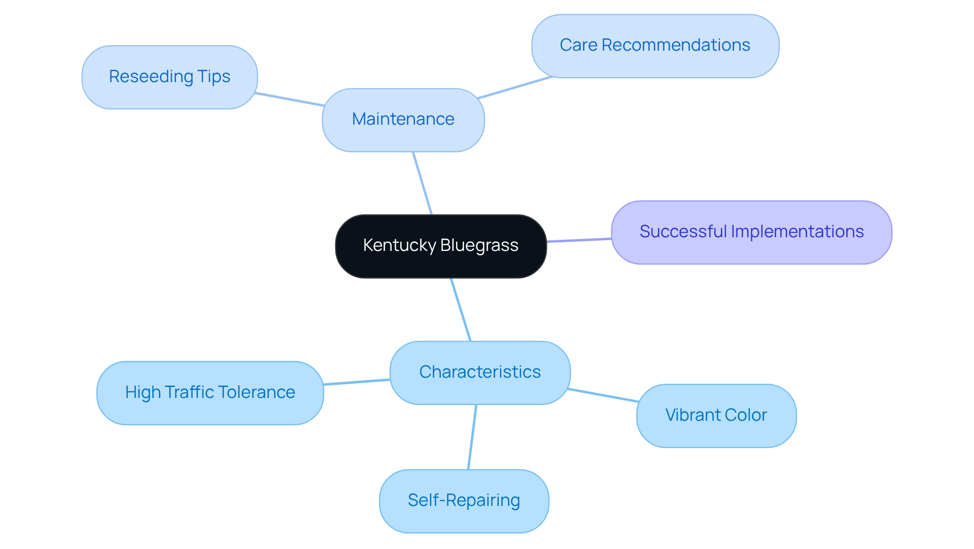 Start at the center with Kentucky Bluegrass, then explore its characteristics, maintenance tips, and examples of successful use. Each branch shows a different aspect of this grass type, helping you understand why it's a great choice for dog-friendly yards.