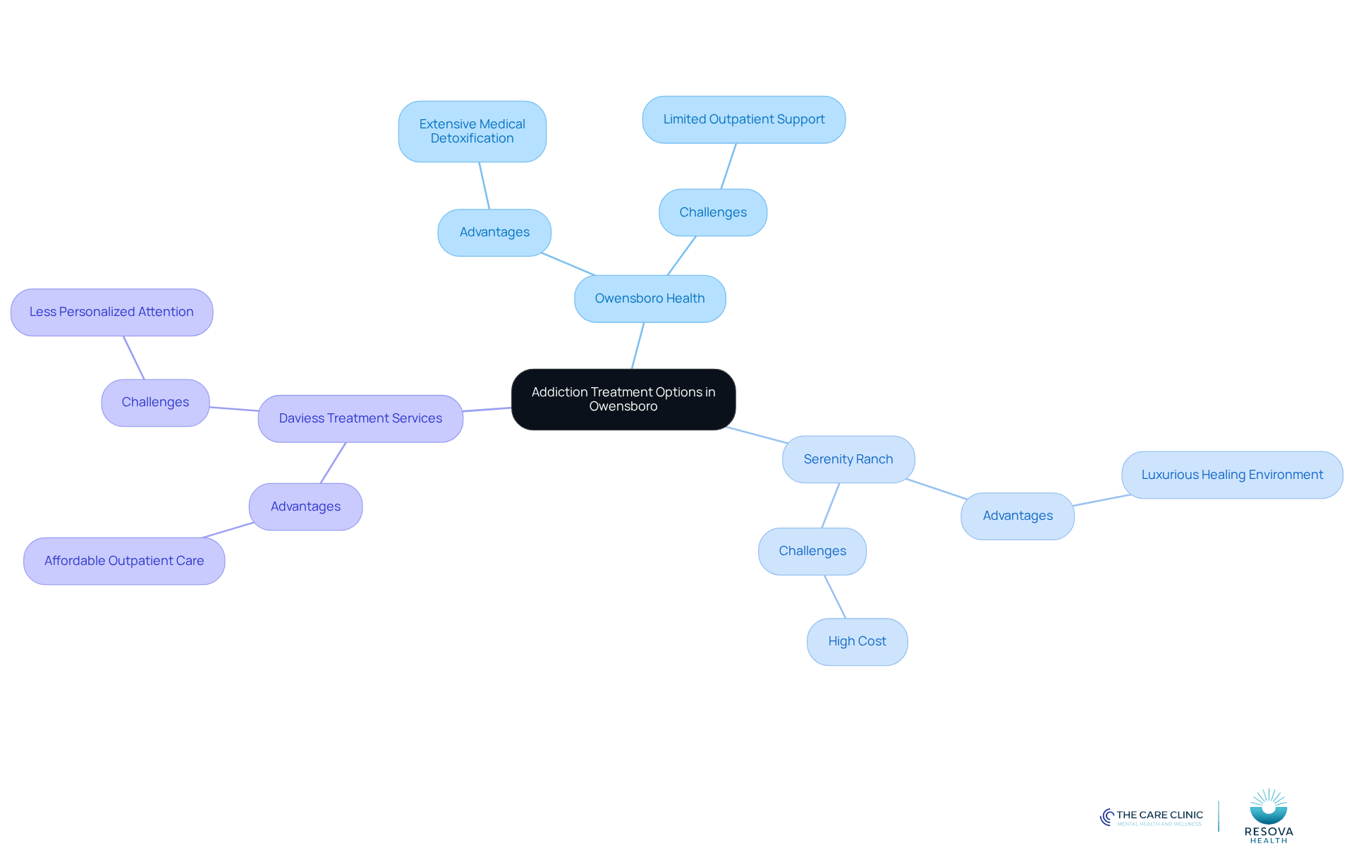 The central node represents the overall topic, while each branch shows a different treatment facility. The sub-branches highlight the pros and cons of each option, helping you compare them easily.