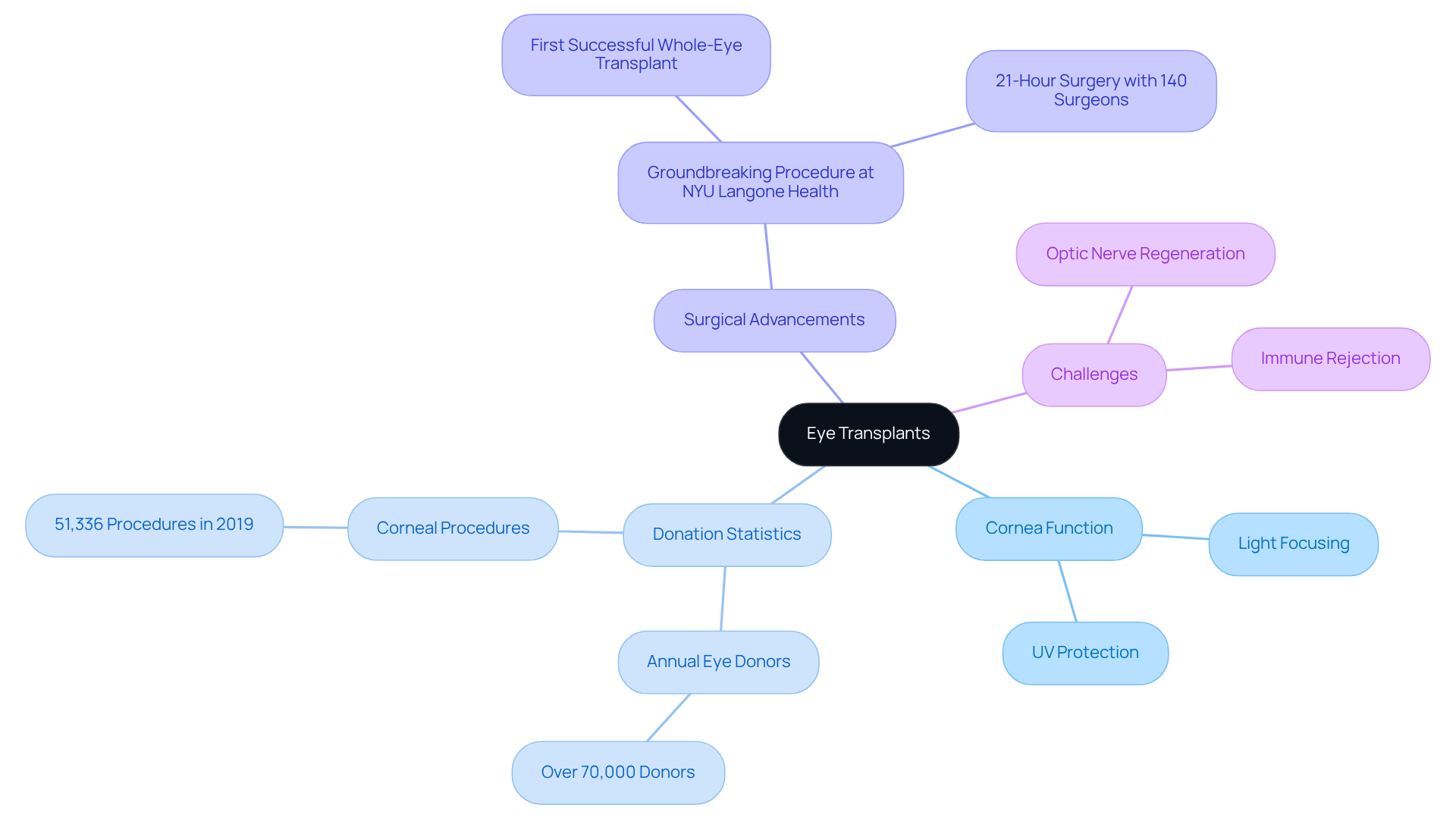 The central node represents the main topic of eye transplants, with branches showing related areas of interest. Each branch provides insights into specific aspects, helping you see how they connect to the overall subject.