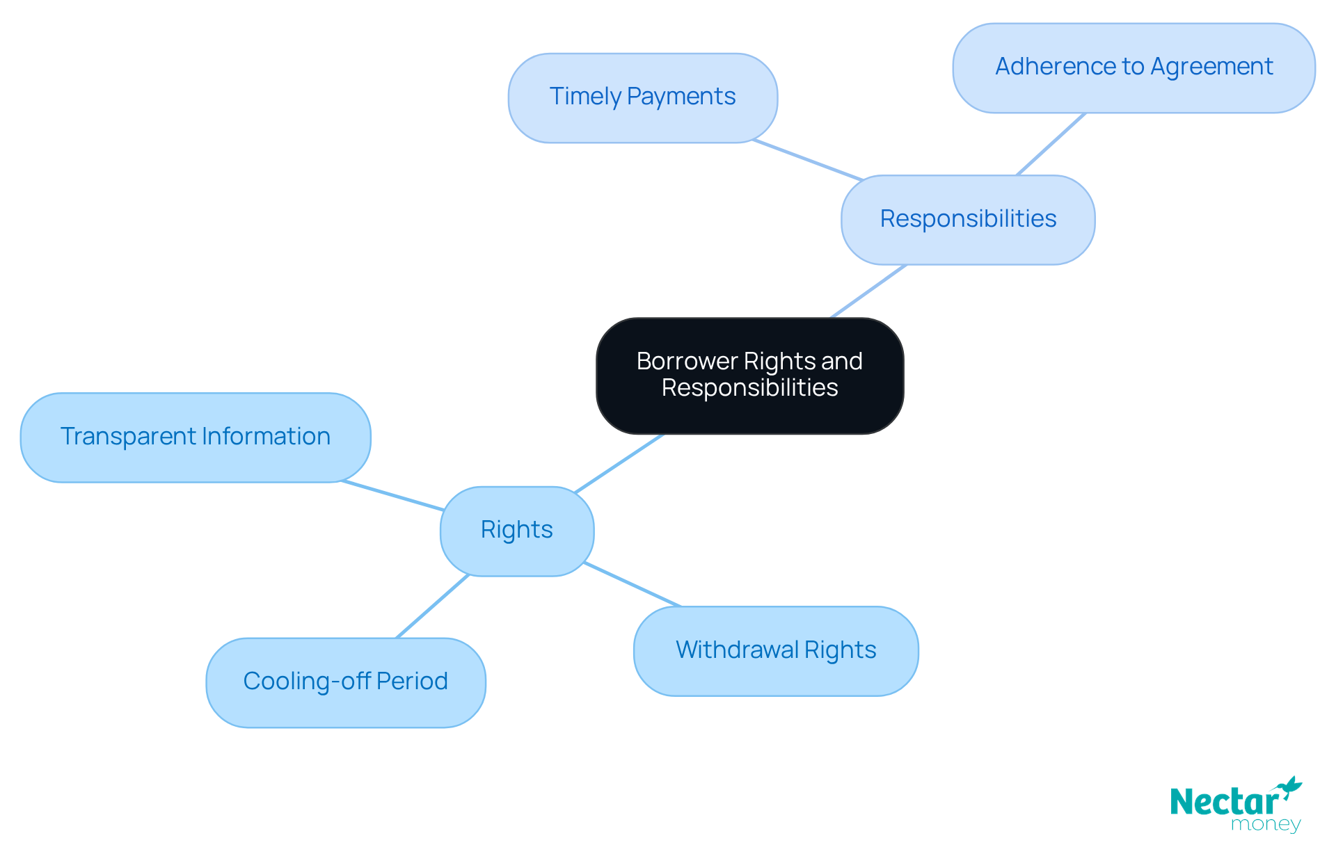 The center represents the overall concept of borrower rights and responsibilities, with branches detailing specific rights and obligations to help you navigate the lending process.