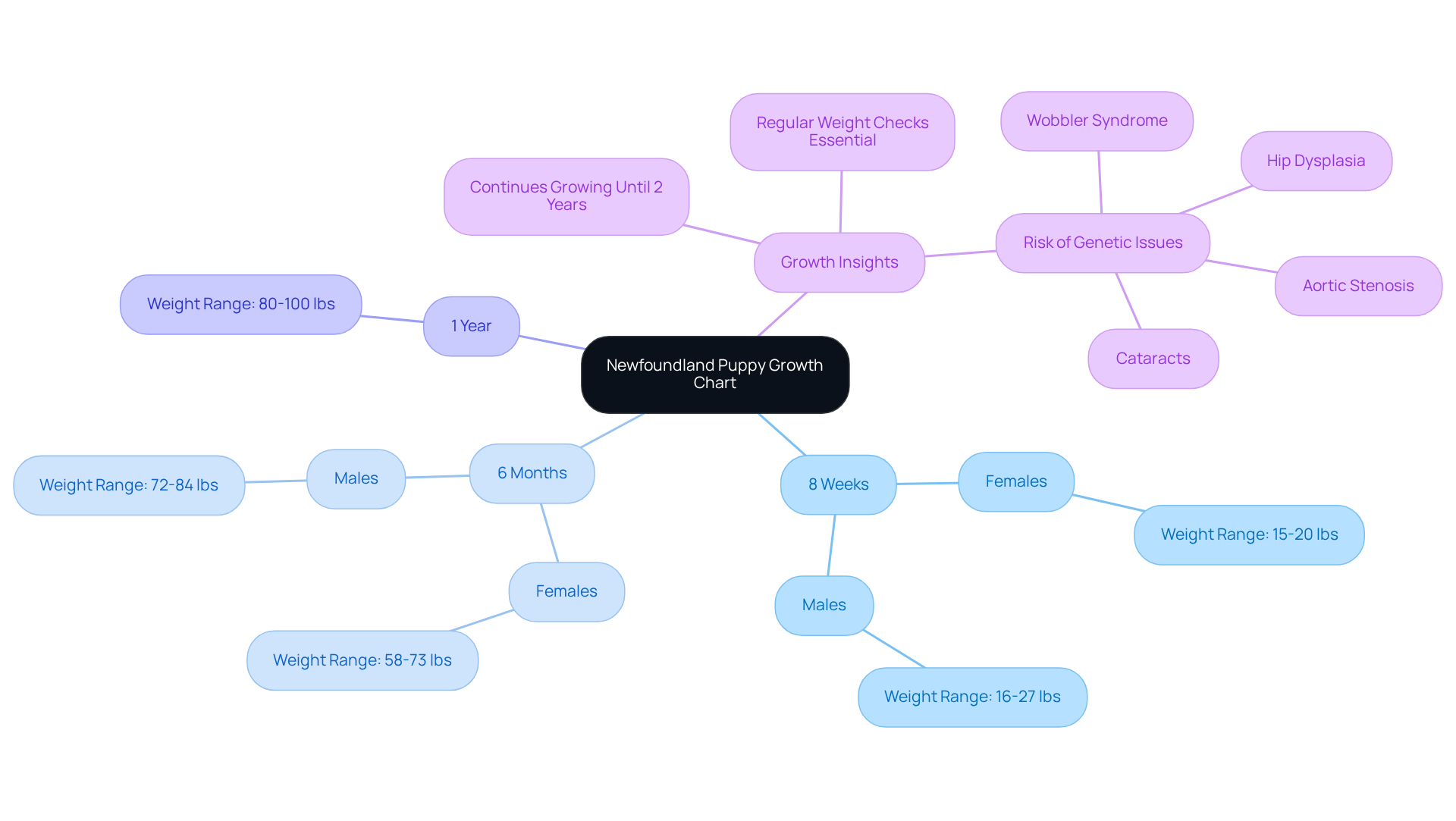 The center shows the growth chart's theme, while the branches reveal weight expectations at different ages and for both male and female Newfoundlands. This structure helps you track how much your puppy should weigh as they grow.
