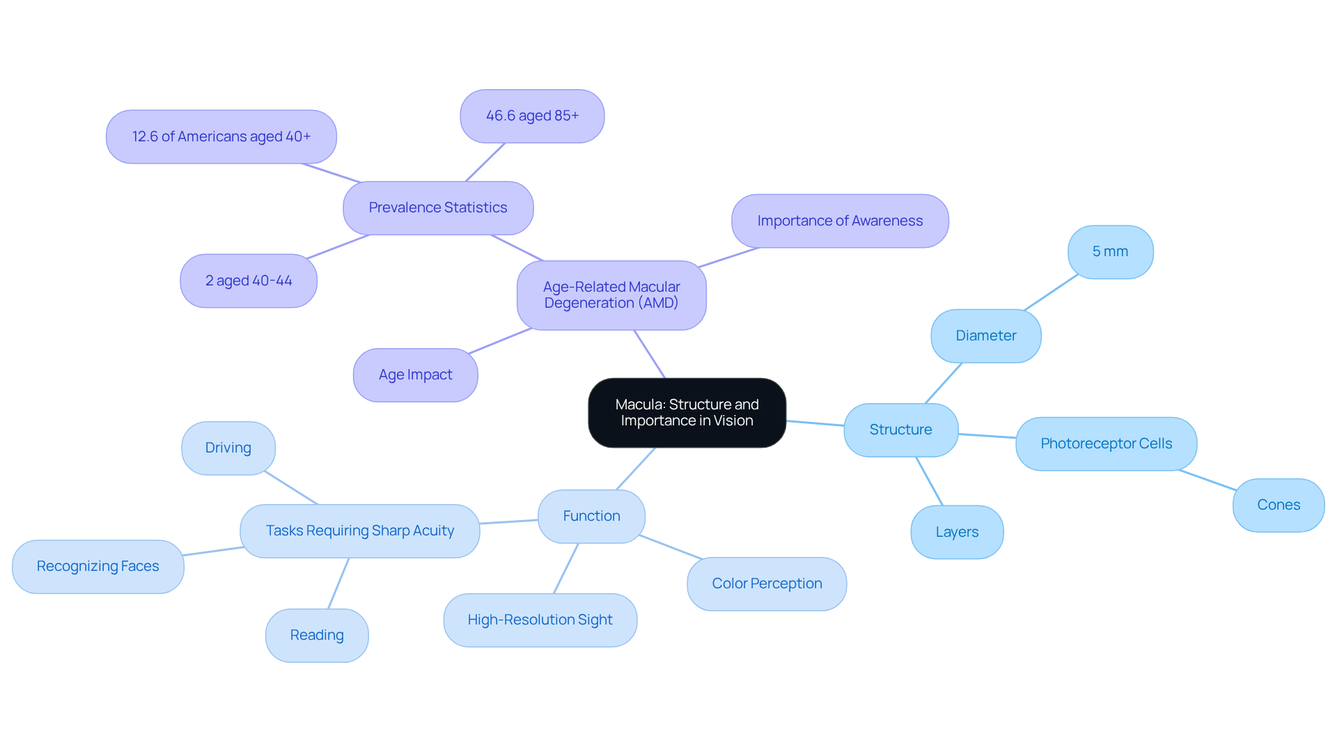 This mindmap starts with the macula at the center, branching out to show its structure, functions, and the impact of age-related macular degeneration. Each branch represents a key aspect of the macula, helping you see how everything connects and why it's important for your vision.