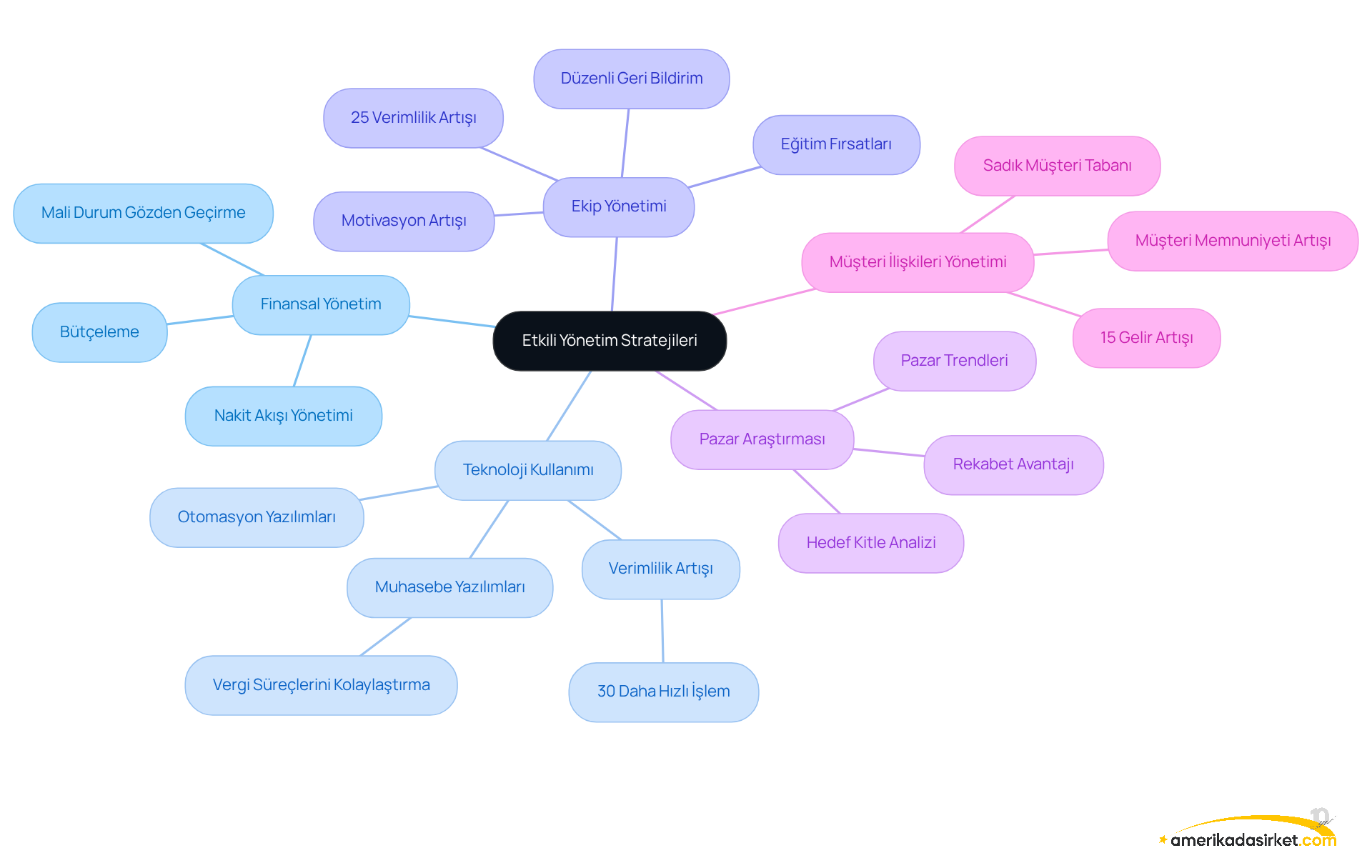 Merkezdeki başlık, tüm stratejilerin ana temasını temsil ediyor. Dallar, her bir stratejiyi ve altındaki önemli noktaları gösteriyor. Renkler, farklı stratejileri ayırt etmenize yardımcı olacak.