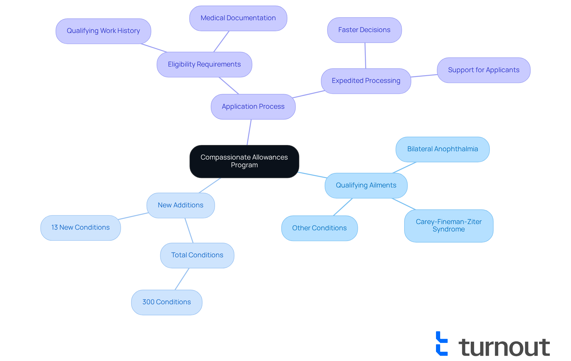 The central node represents the Compassionate Allowances Program, with branches showing qualifying conditions and important notes. Explore each branch to see specific ailments and the processes involved.