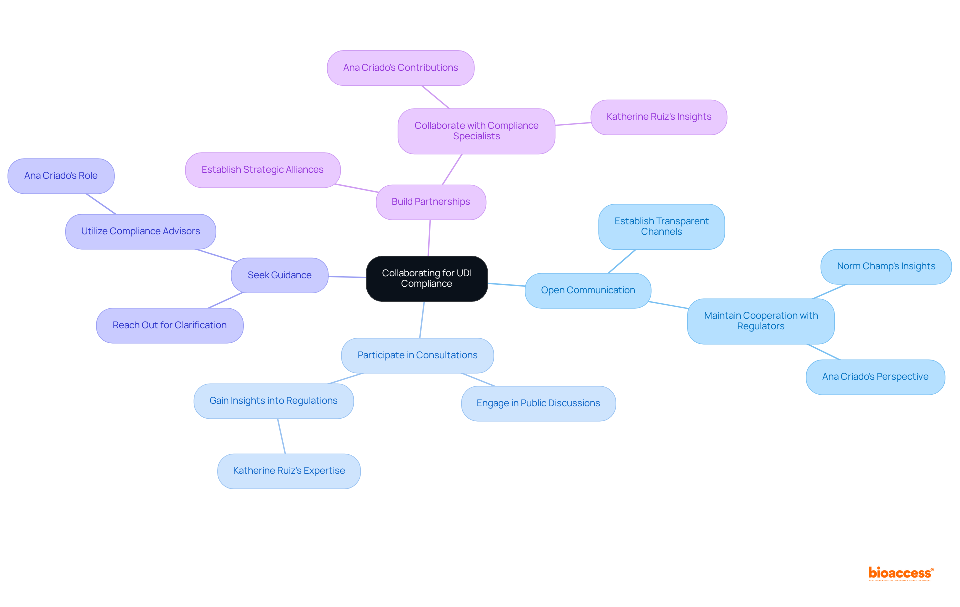 The central node represents the main goal of UDI compliance. Each branch shows a strategy that supports this goal, with additional details and expert insights provided in the sub-branches.