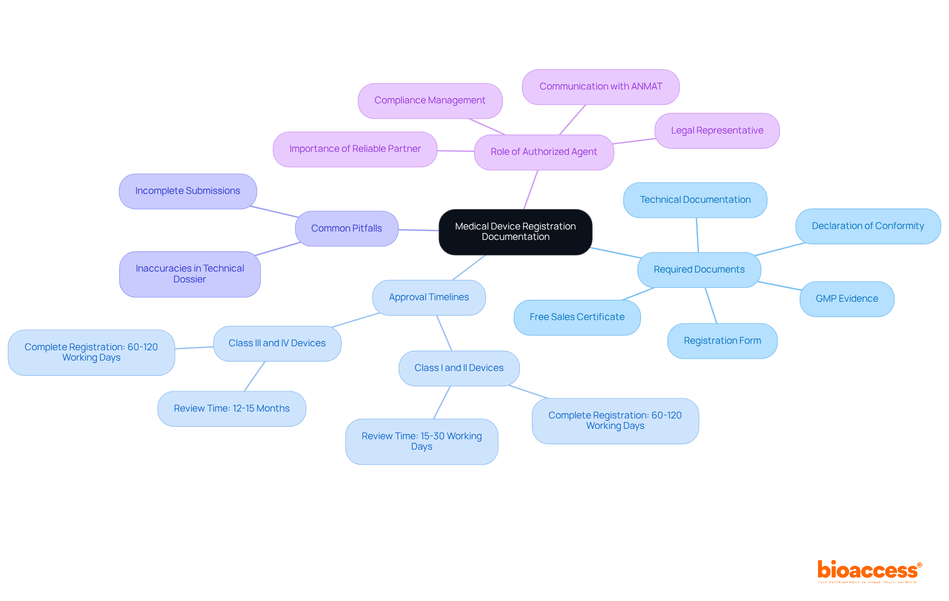 The central node represents the overall process, while branches detail specific requirements and considerations. Each color-coded section helps you quickly identify different aspects of the documentation process.