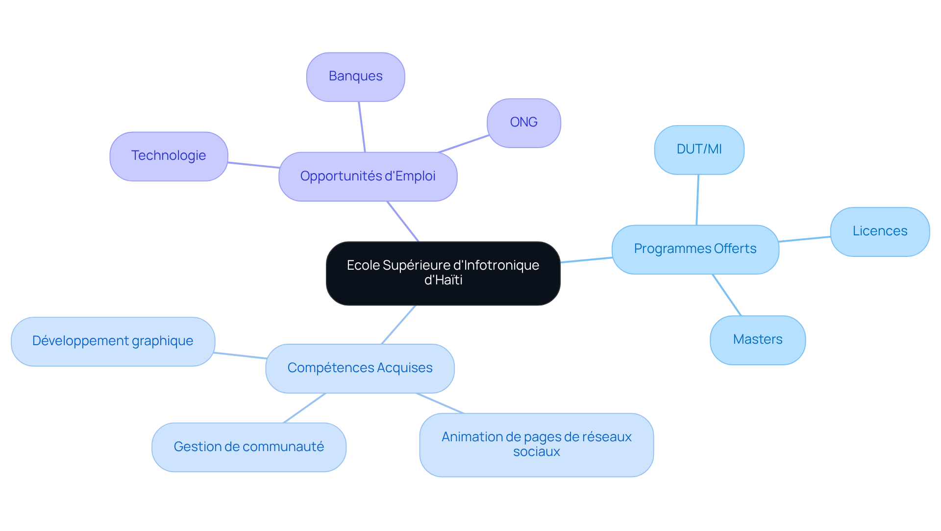 Le nœud central représente l'école, et chaque branche montre un aspect différent de la formation : les programmes, les compétences que les étudiants acquièrent, et les secteurs où ils peuvent travailler. Suivez les branches pour explorer comment chaque élément est lié.