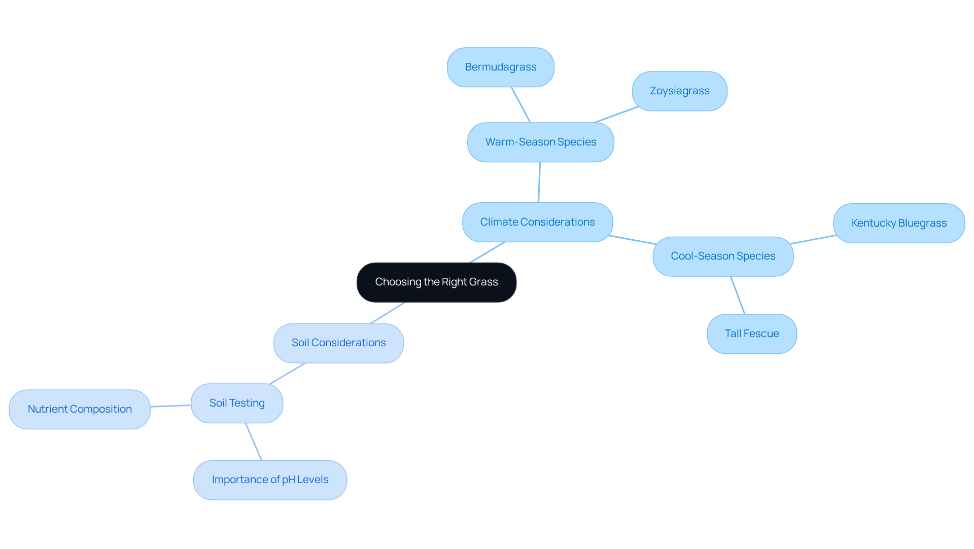 The central node represents the overall topic of grass selection. The branches show how climate and soil conditions influence the choice of grass types, with specific examples provided for clarity.