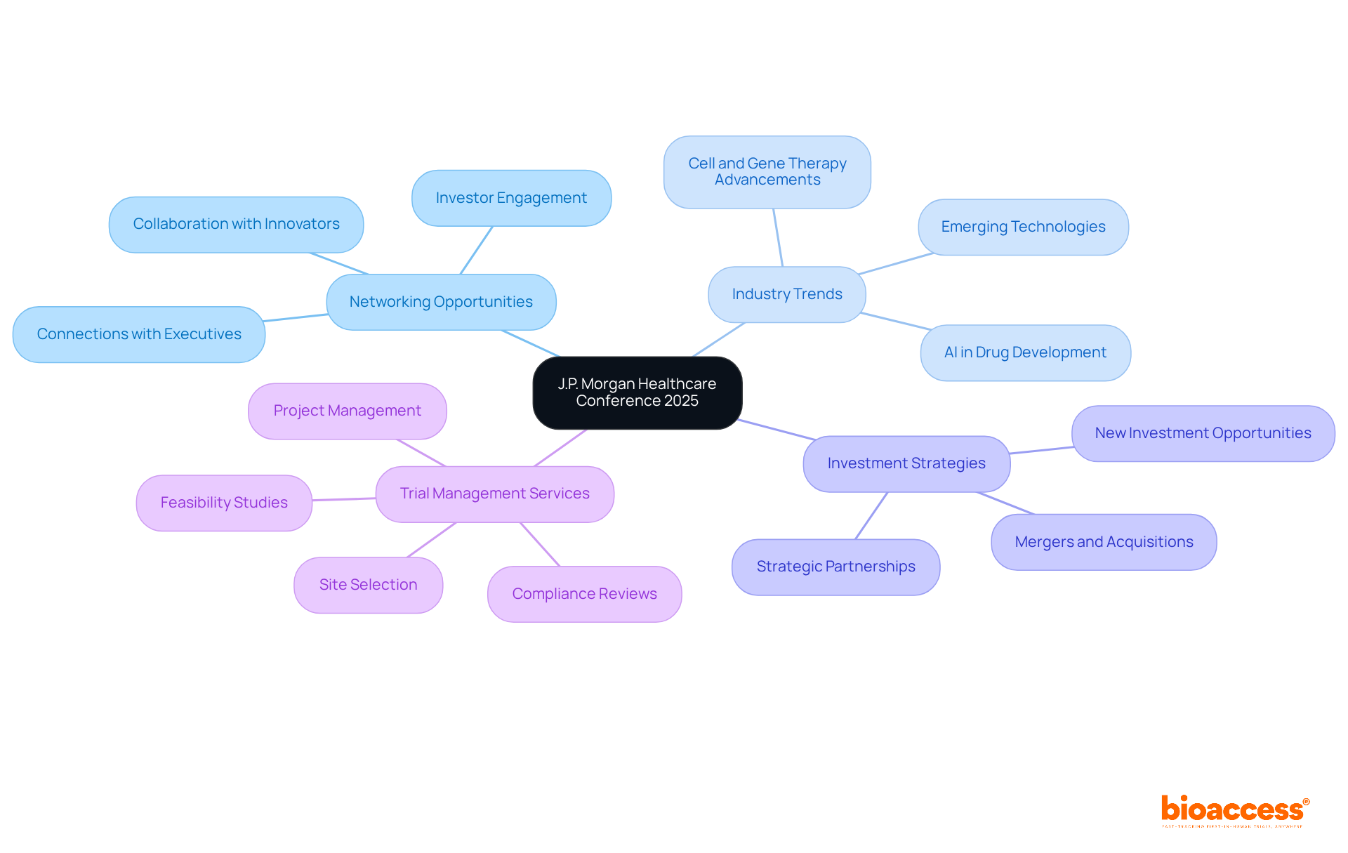 The center represents the conference itself, while branches show different topics and opportunities that attendees will explore. Follow the branches to understand what areas will be focused on during this important event.