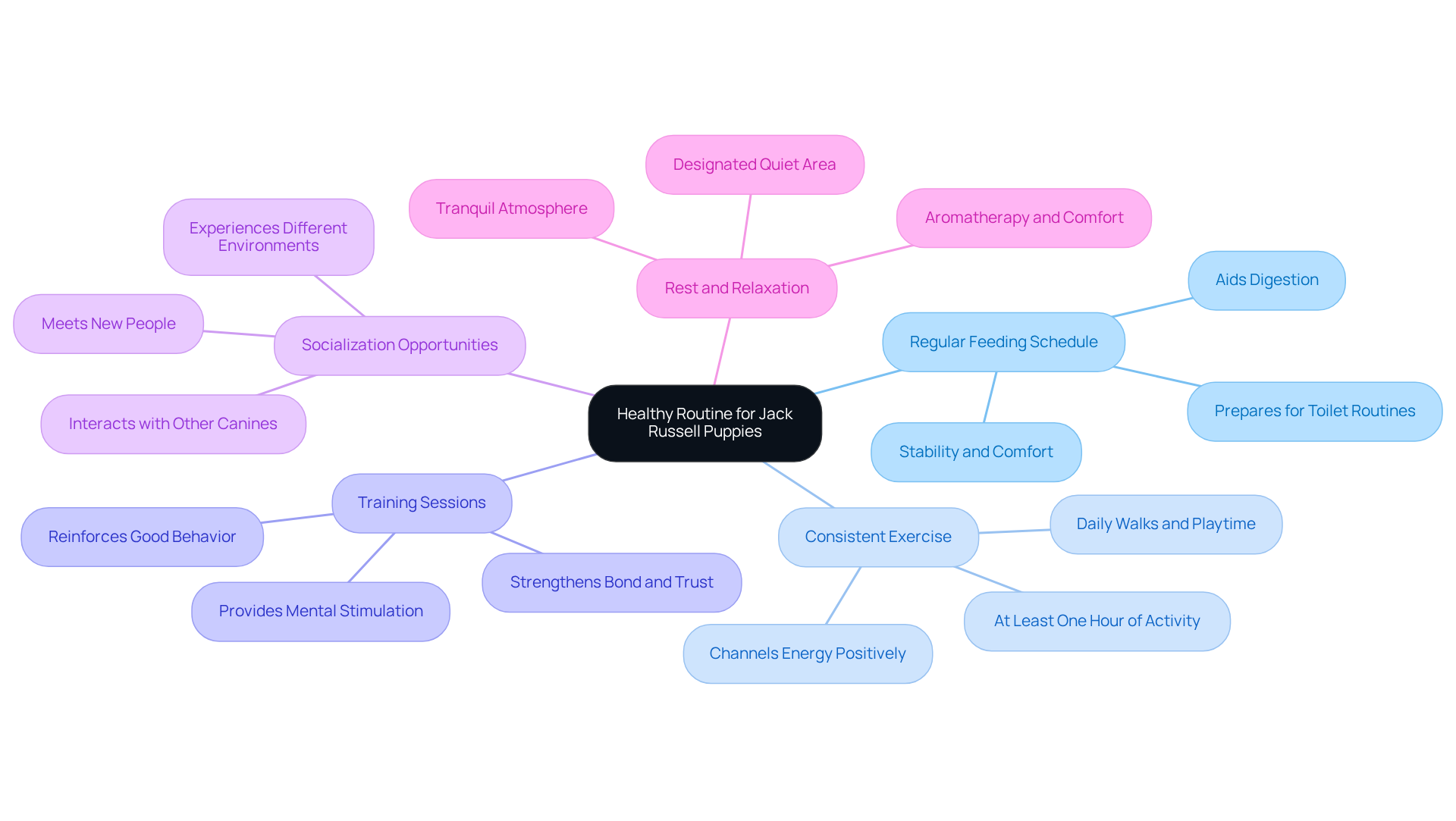 The central idea is the healthy routine, with branches showing the various key components. Each branch highlights important aspects to consider for your puppy's well-being. The central idea is the healthy routine, with branches showing the various key components. Each branch highlights important aspects to consider for your puppy's well-being.