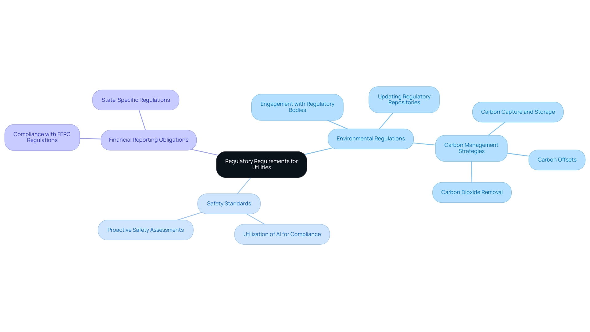 The central node represents the overall regulatory requirements, with branches showing the key focus areas and their respective strategies for compliance.