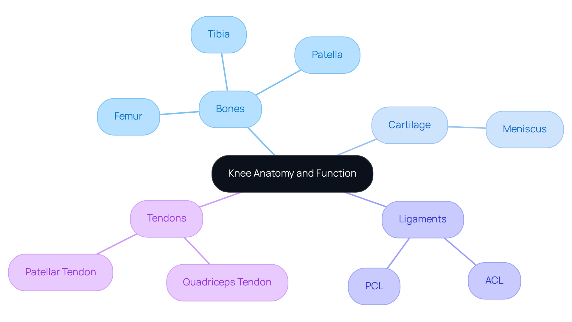 This mindmap starts with the main topic of knee anatomy at the center. Each branch represents a different part of the knee, showing how bones, ligaments, tendons, and cartilage work together. The more you explore the branches, the more you learn about how these components support movement and health.