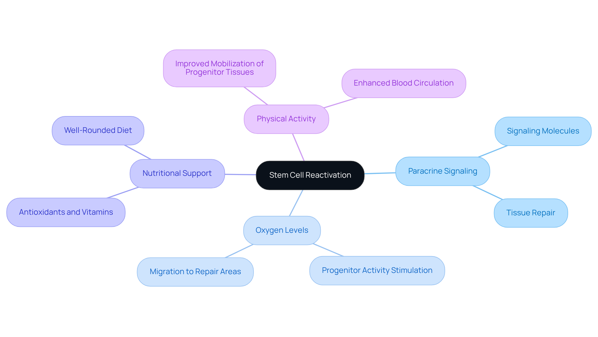 This mindmap shows how different factors contribute to reactivating stem cells. Start at the center with the main idea, then explore each branch to see how paracrine signaling, oxygen levels, nutrition, and exercise play a role in enhancing your body's healing and regeneration.