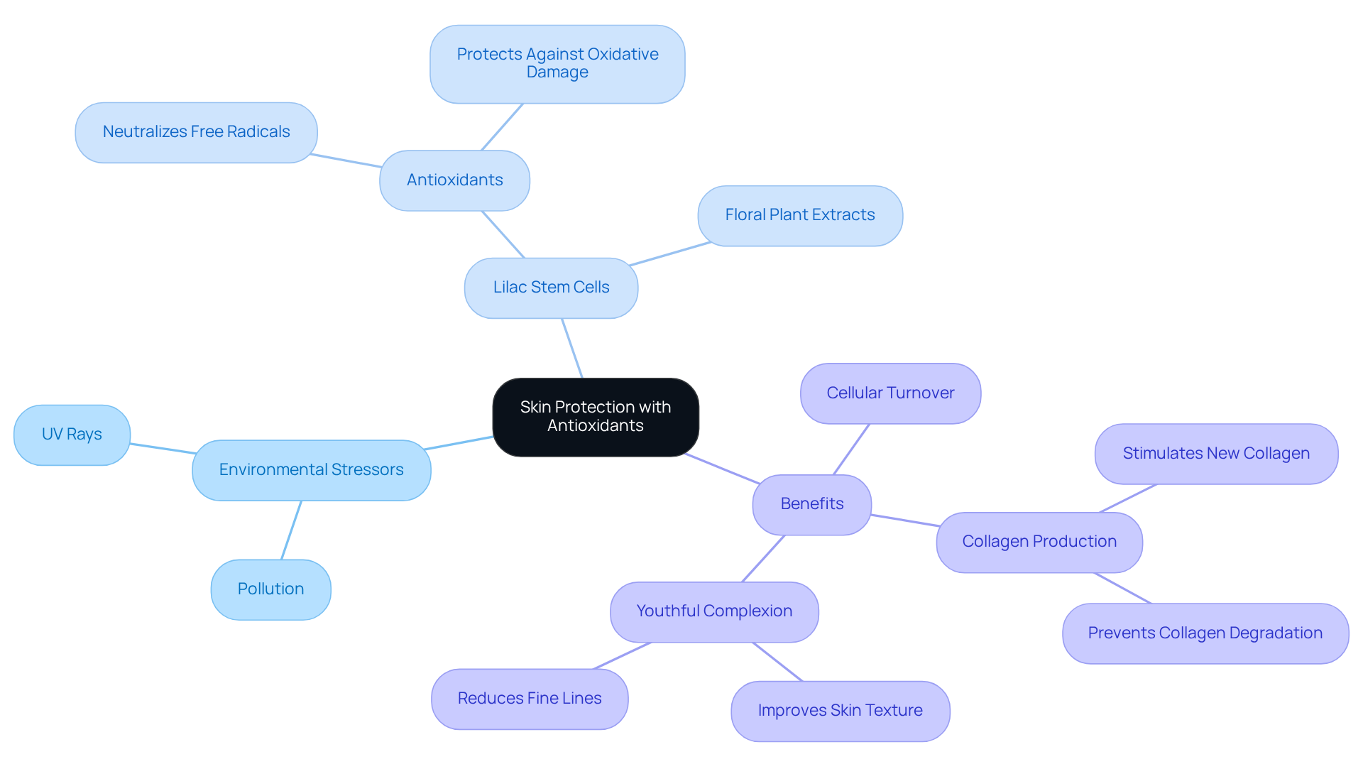 This mindmap illustrates how lilac stem cells help protect your skin. Start at the center with the main idea, then follow the branches to see how environmental factors affect skin health and how antioxidants from lilac stem cells can combat these issues. This mindmap illustrates how lilac stem cells help protect your skin. Start at the center with the main idea, then follow the branches to see how environmental factors affect skin health and how antioxidants from lilac stem cells can combat these issues.