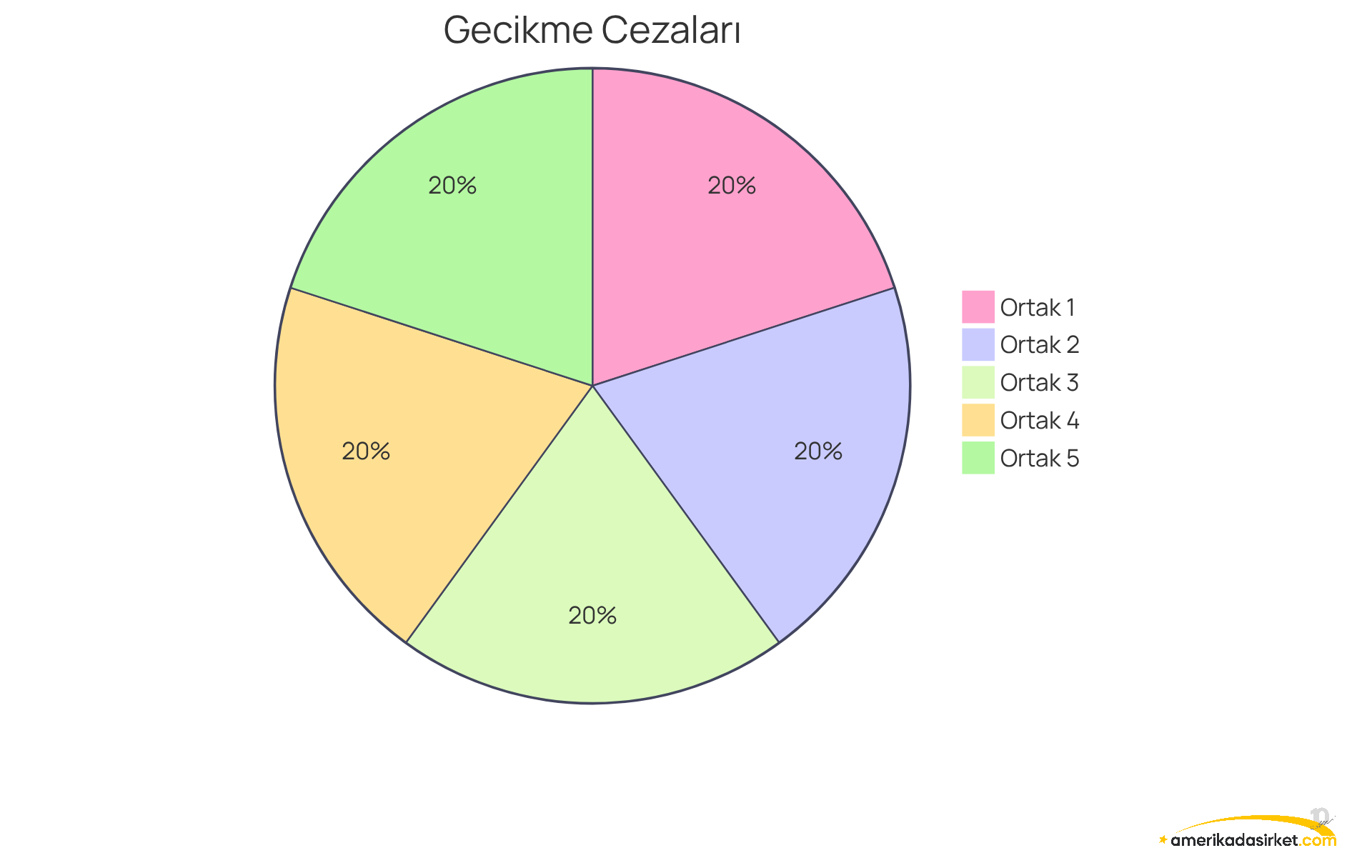 Grafikteki dilimler, her ortak için gecikme cezasının ne kadar olduğunu gösteriyor. Daha büyük dilimler, daha fazla ceza anlamına geliyor. Toplam ceza, tüm ortakların katkılarıyla hesaplanıyor.