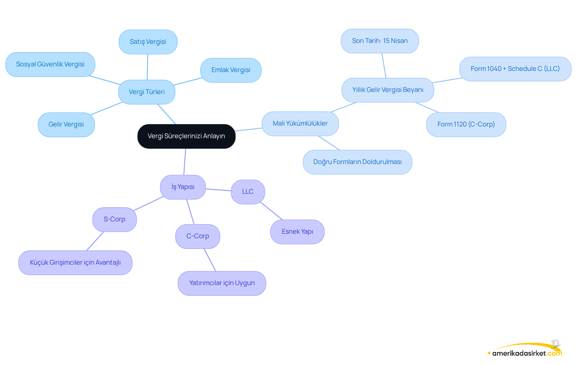 Merkezdeki başlık, vergi süreçlerinin genel konusunu temsil ediyor. Dallar, bu konuyla ilgili ana başlıkları ve alt başlıkları gösteriyor. Her dalın rengi, konunun farklı bir yönünü temsil ediyor. Merkezdeki başlık, vergi süreçlerinin genel konusunu temsil ediyor. Dallar, bu konuyla ilgili ana başlıkları ve alt başlıkları gösteriyor. Her dalın rengi, konunun farklı bir yönünü temsil ediyor.