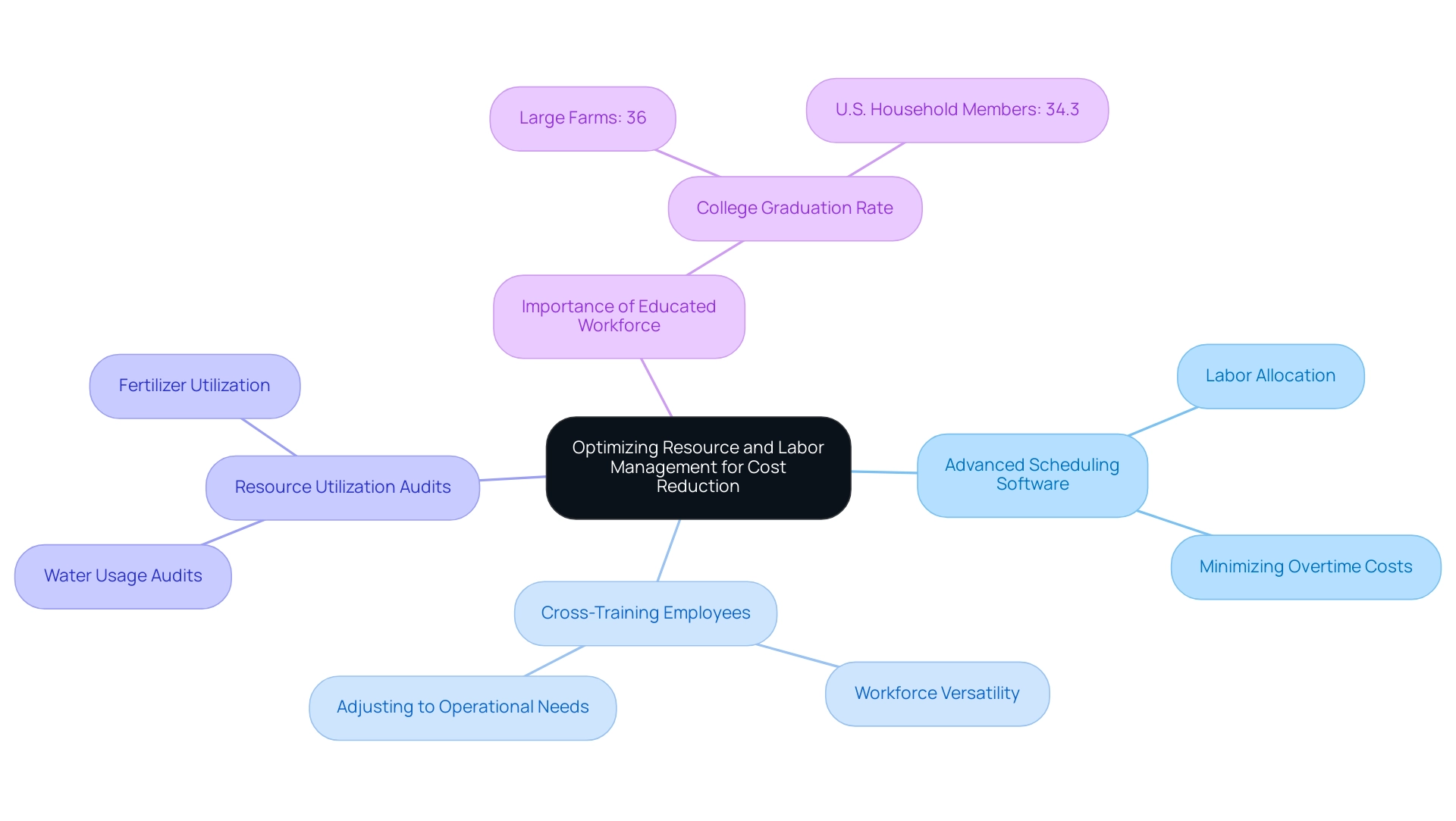 Each branch represents a key strategy for optimizing resource and labor management, with sub-branches detailing specific actions or outcomes related to that strategy.