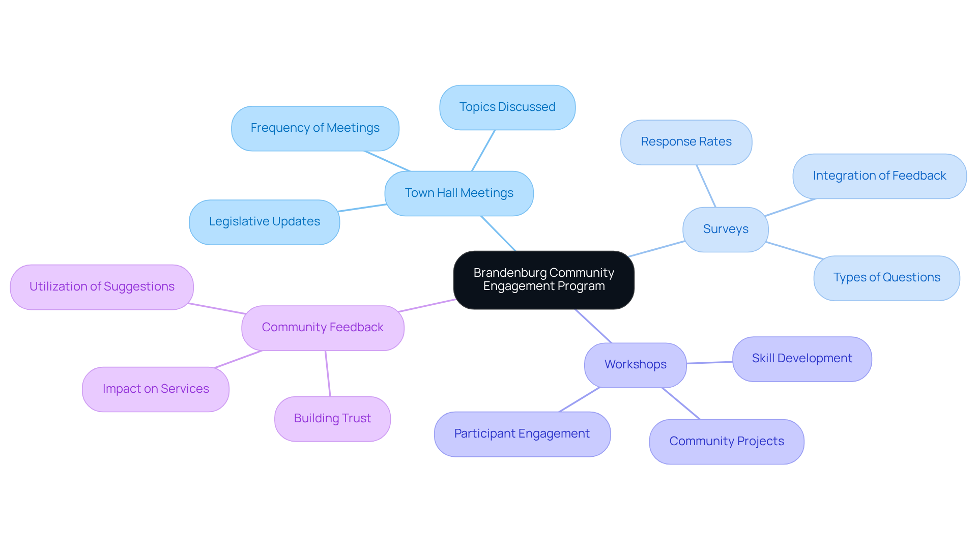 The central node represents the overall program, while the branches show the different ways community members can engage. Each branch highlights a method of participation and its significance in empowering local voices.