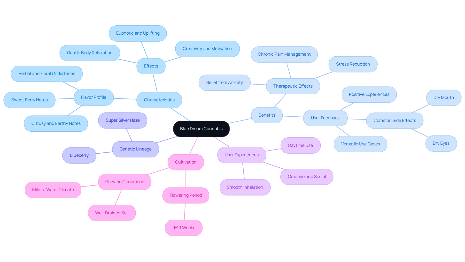 The central node represents Blue Dream cannabis, while the branches show its various characteristics and benefits. Each color-coded branch helps you navigate through the different aspects, making it easy to see how they connect to the main topic. The central node represents Blue Dream cannabis, while the branches show its various characteristics and benefits. Each color-coded branch helps you navigate through the different aspects, making it easy to see how they connect to the main topic.