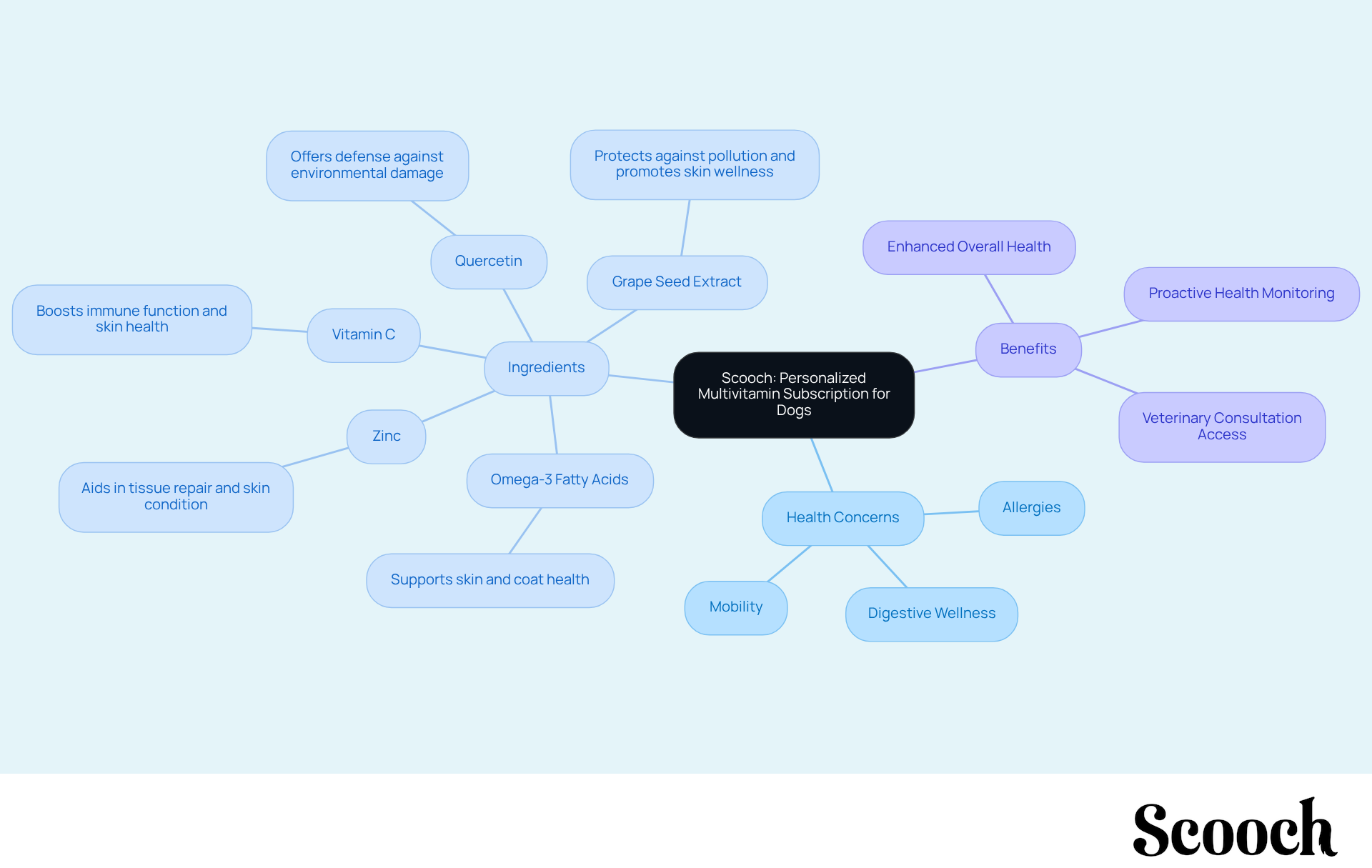 The central node represents Scooch's service, while branches show health concerns, ingredients, and their benefits. Follow the branches to understand how each vitamin supports your dog's health.
