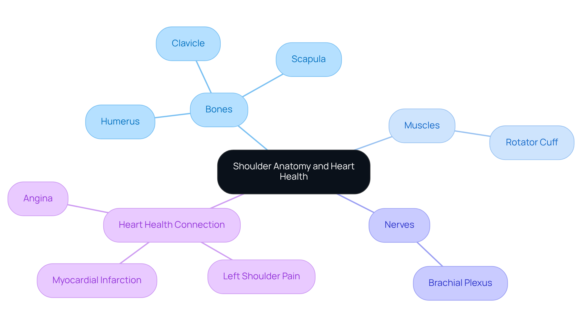 This mindmap illustrates how the shoulder's anatomy is interconnected with heart health. Start at the center with the main topic, then explore the branches to see how bones, muscles, and nerves relate to potential heart issues. Each branch leads to specific components and their significance, helping you understand the importance of monitoring shoulder discomfort in relation to heart health.