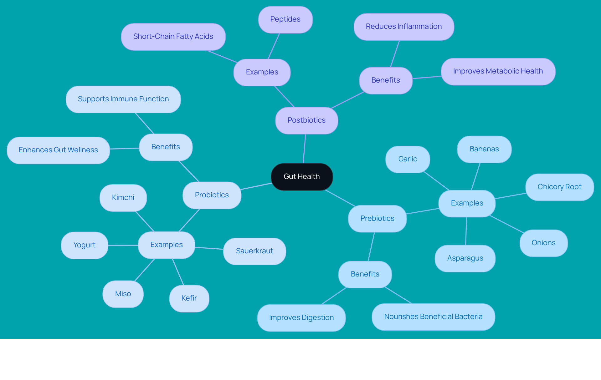 The center represents gut health, with branches showing different types of beneficial substances. Each branch lists examples of foods and their health benefits, helping you see how they all contribute to a healthier gut.