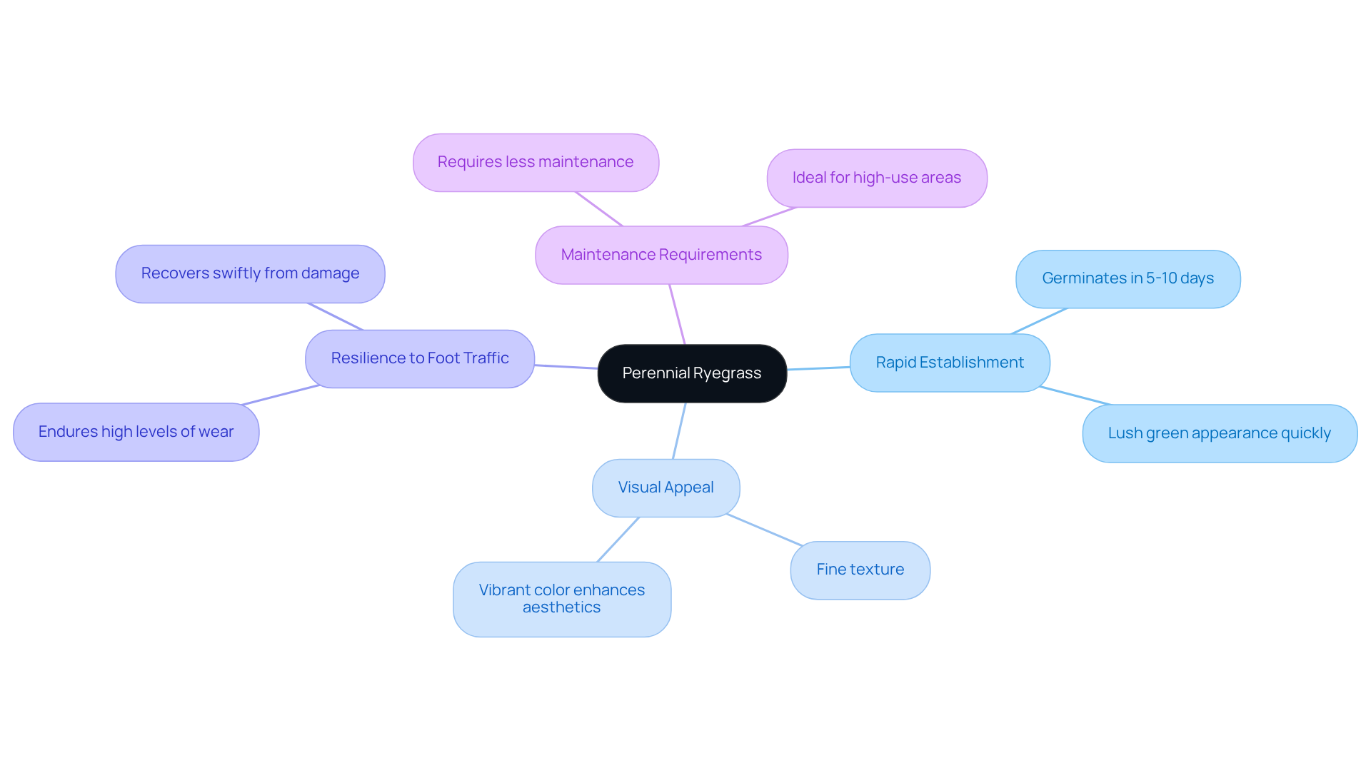 The central node represents Perennial Ryegrass, while the branches show its key benefits. Each sub-branch provides more detail, helping you understand why this grass is a top choice for golf fairways. The central node represents Perennial Ryegrass, while the branches show its key benefits. Each sub-branch provides more detail, helping you understand why this grass is a top choice for golf fairways.