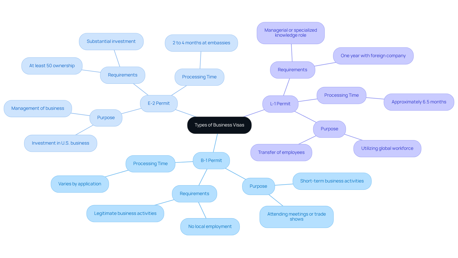 The central node represents the main topic of business visas. Each branch shows a different visa type, and the sub-branches provide details about what each visa allows and requires. This structure helps you see the differences and similarities at a glance.