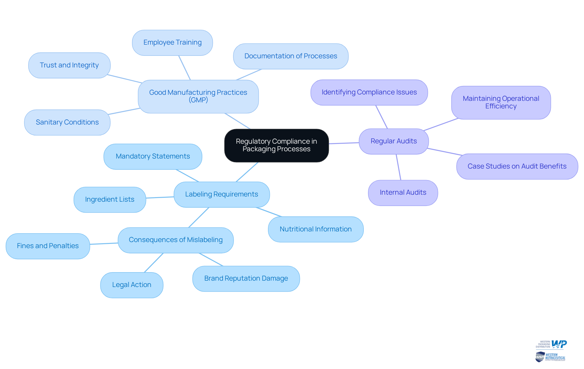 The central node represents the overarching theme of regulatory compliance. Each branch highlights a key area of focus, with smaller branches providing essential information related to that area, helping you understand the importance of each aspect.