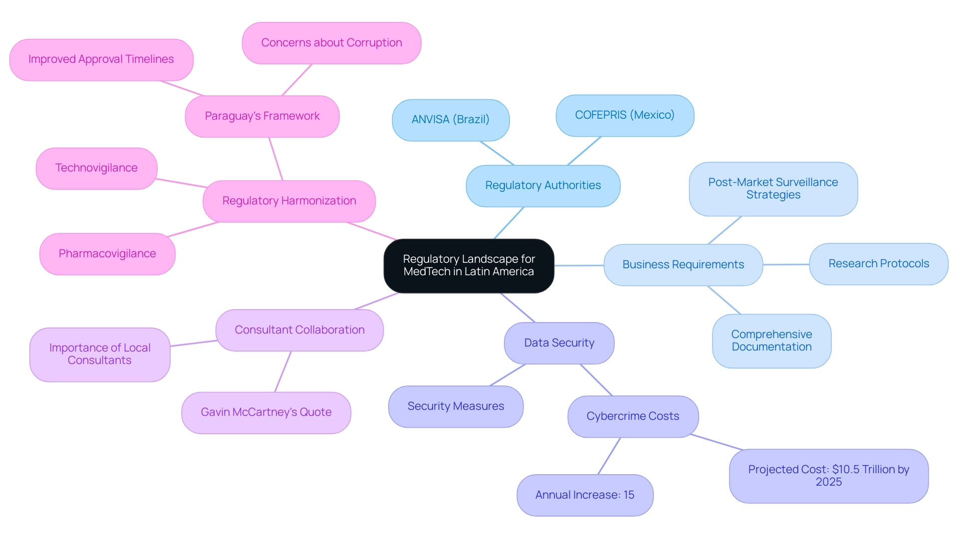 The central node represents the overall regulatory landscape, with branches detailing regulatory authorities, business requirements, data security concerns, and the role of local consultants.