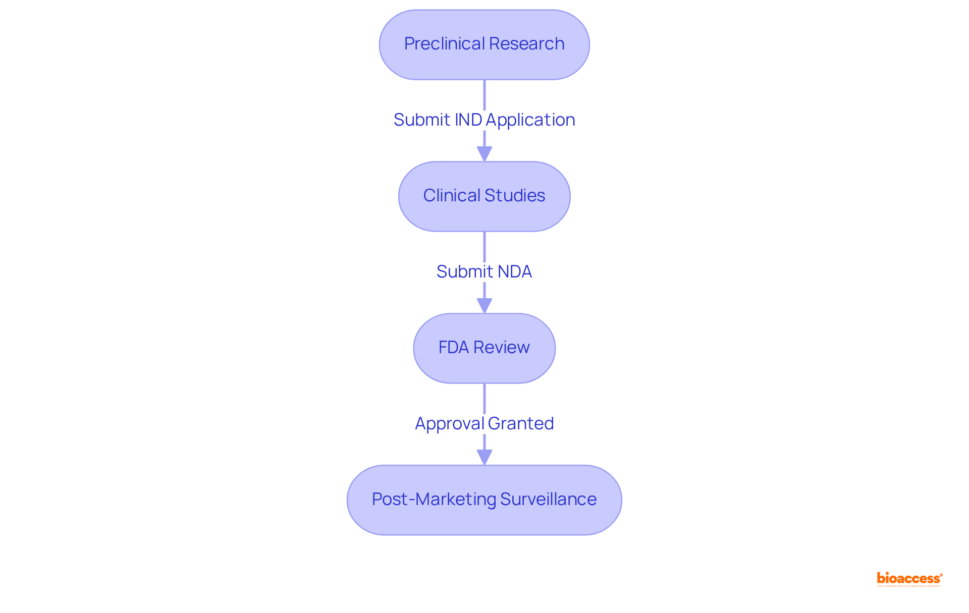 Each box represents a key phase in the drug approval journey. Follow the arrows to see how each phase leads to the next, from initial research to post-marketing assessments.