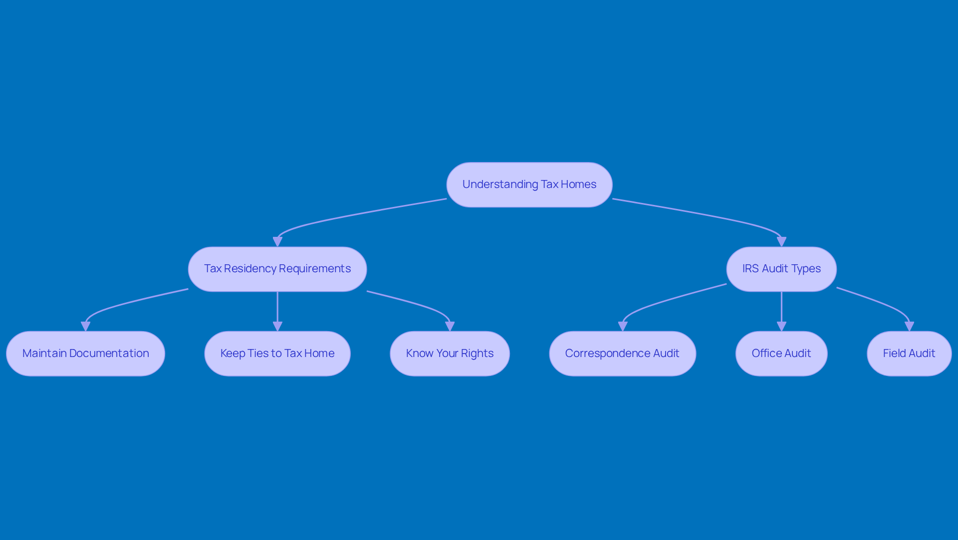 This flowchart guides you through understanding tax homes and what to do if you're audited. Follow the arrows to see the steps you need to take to ensure you're prepared and informed.