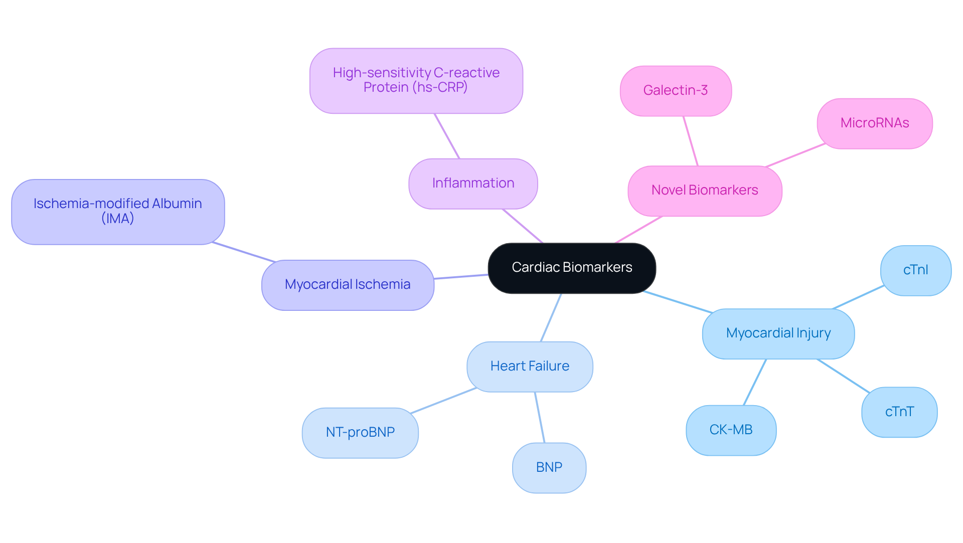 The central node represents the overall topic of cardiac biomarkers. Each branch shows a category of biomarkers, and the sub-branches list specific examples. This structure helps you see how different biomarkers relate to various heart conditions. The central node represents the overall topic of cardiac biomarkers. Each branch shows a category of biomarkers, and the sub-branches list specific examples. This structure helps you see how different biomarkers relate to various heart conditions.