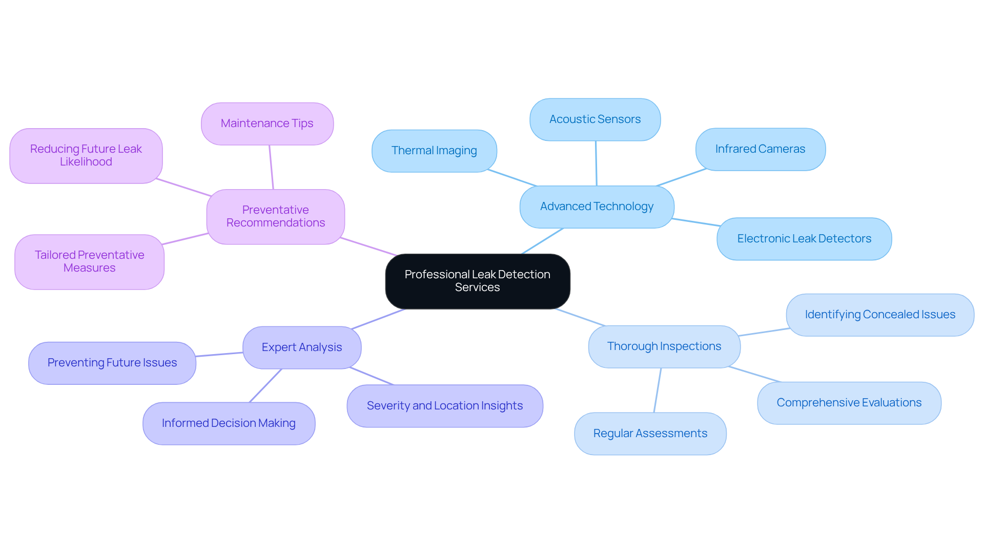 The center represents the main service, while the branches show different aspects that contribute to effective leak management. Each color-coded branch highlights a specific area of focus, making it easy to see how they all connect.