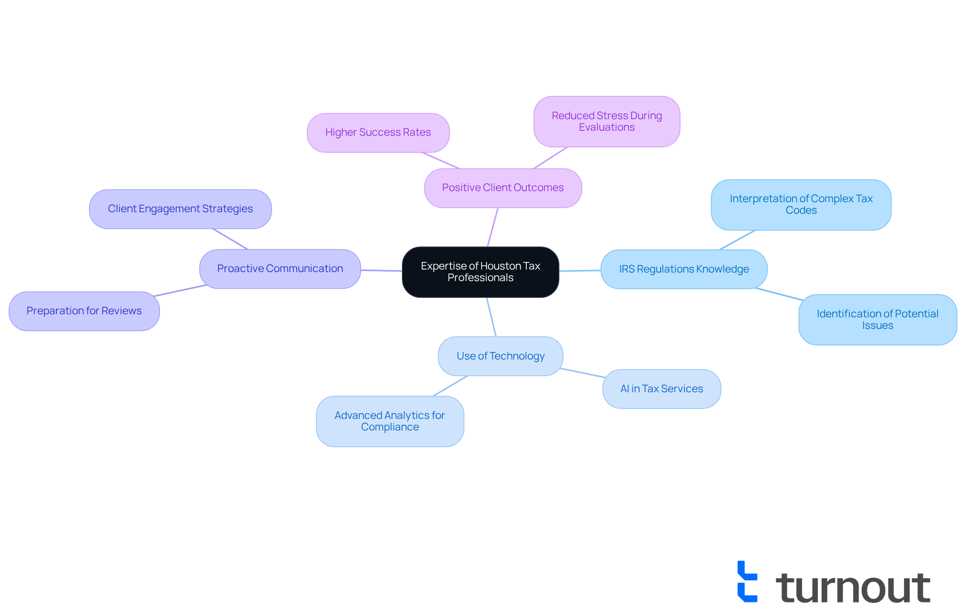 The central node represents the core expertise of tax professionals, while each branch illustrates different facets of their support — explore how they relate to better outcomes and reduced stress during audits.