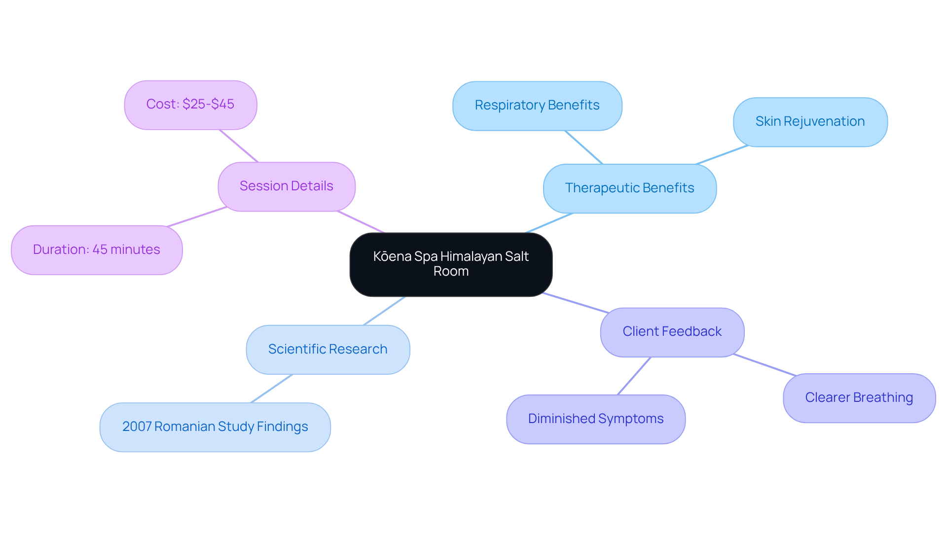 The central node shows the salt room, with branches expanding into different areas of information. Each branch represents a key aspect: therapeutic benefits, scientific research backing, client experiences, and session details. This helps you understand the holistic experience offered by the spa.