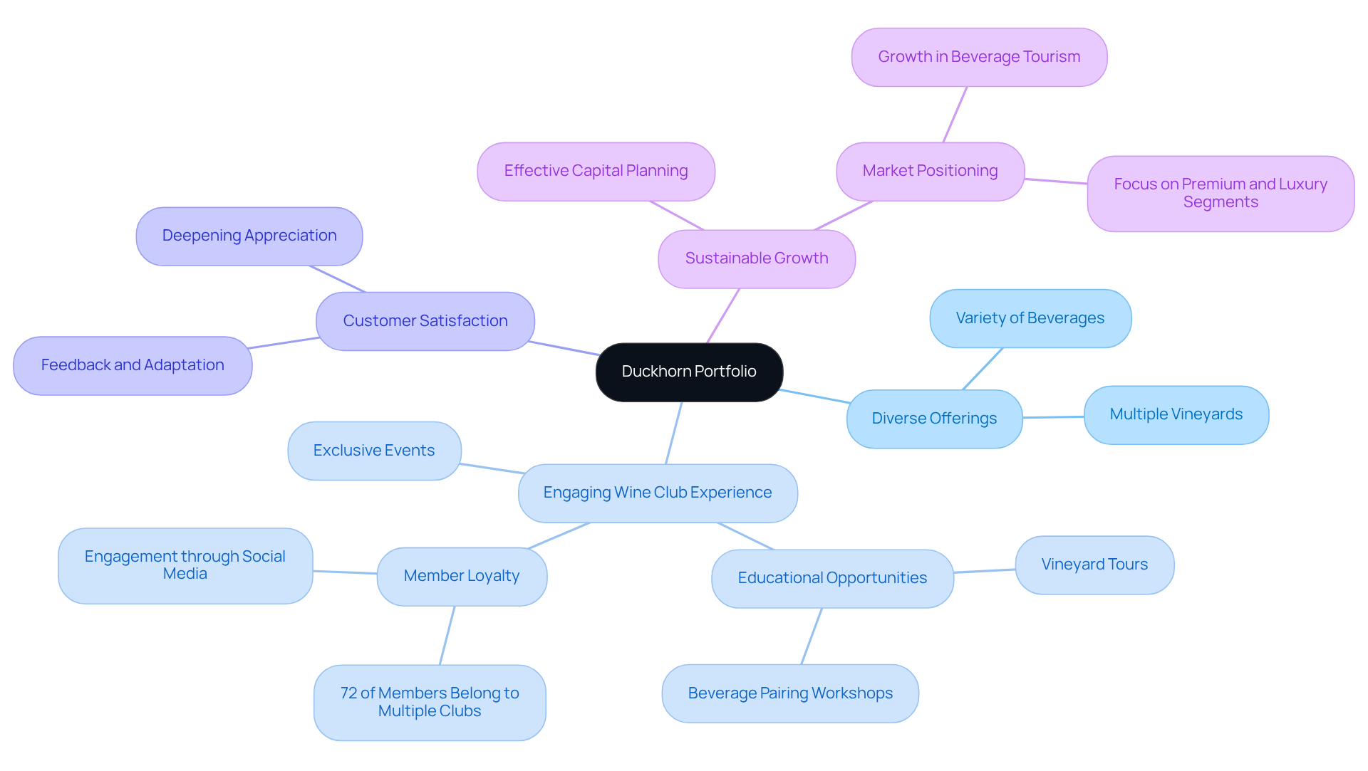 The central node represents Duckhorn's overall portfolio, while the branches show the different areas of focus. Each sub-branch provides more detail about specific strategies and initiatives that contribute to overall customer satisfaction and loyalty.