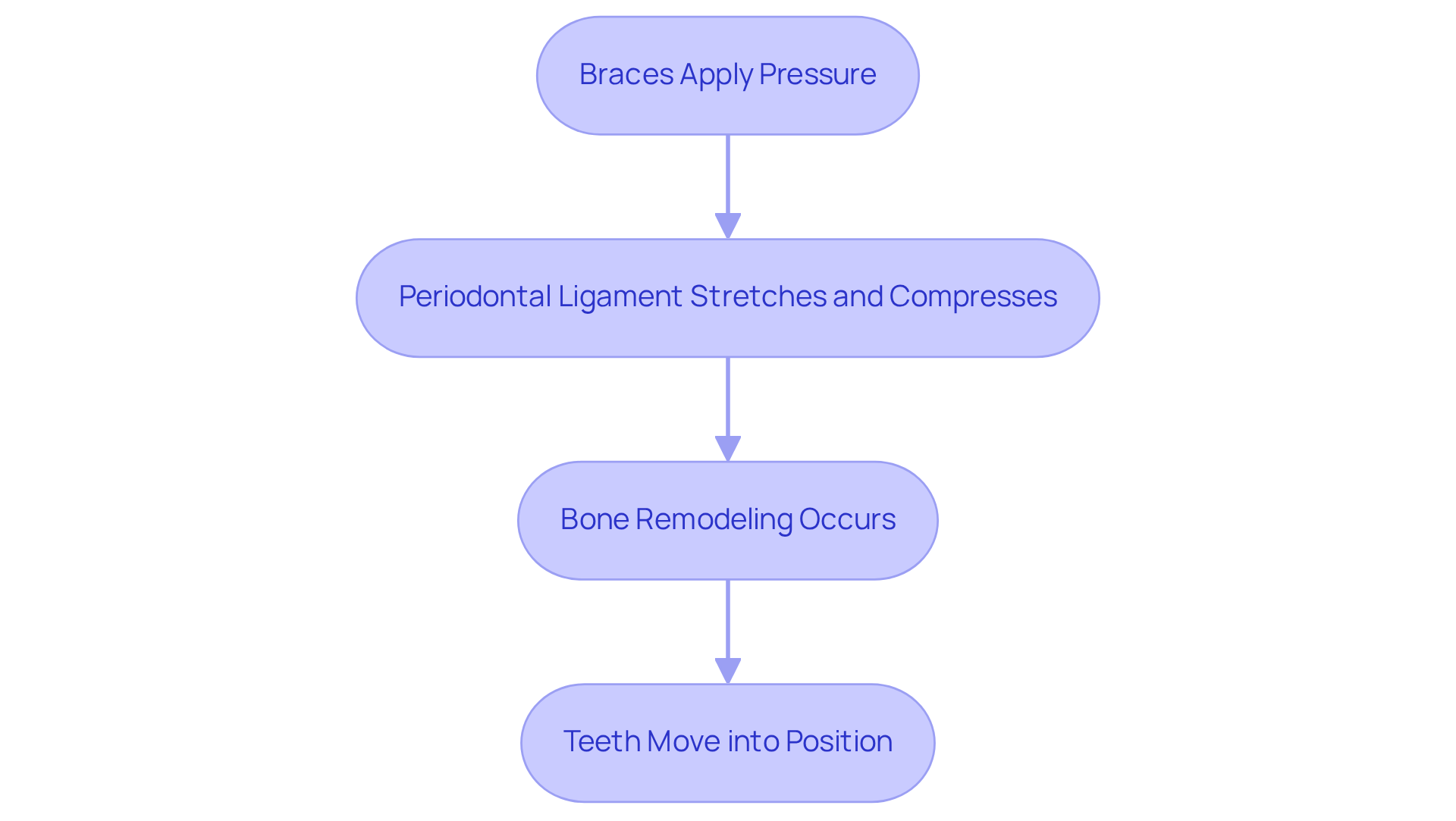 Follow the arrows to see how braces work: they apply pressure, which causes the periodontal ligament to stretch and compress, leading to bone remodeling and ultimately moving the teeth into their ideal positions.