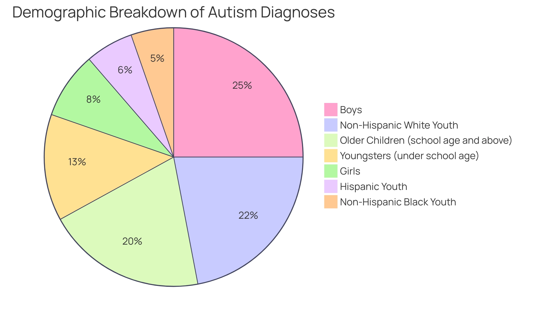 Each segment represents a demographic category of autism diagnoses, with sizes corresponding to the prevalence among boys, girls, different age groups, and ethnic backgrounds.