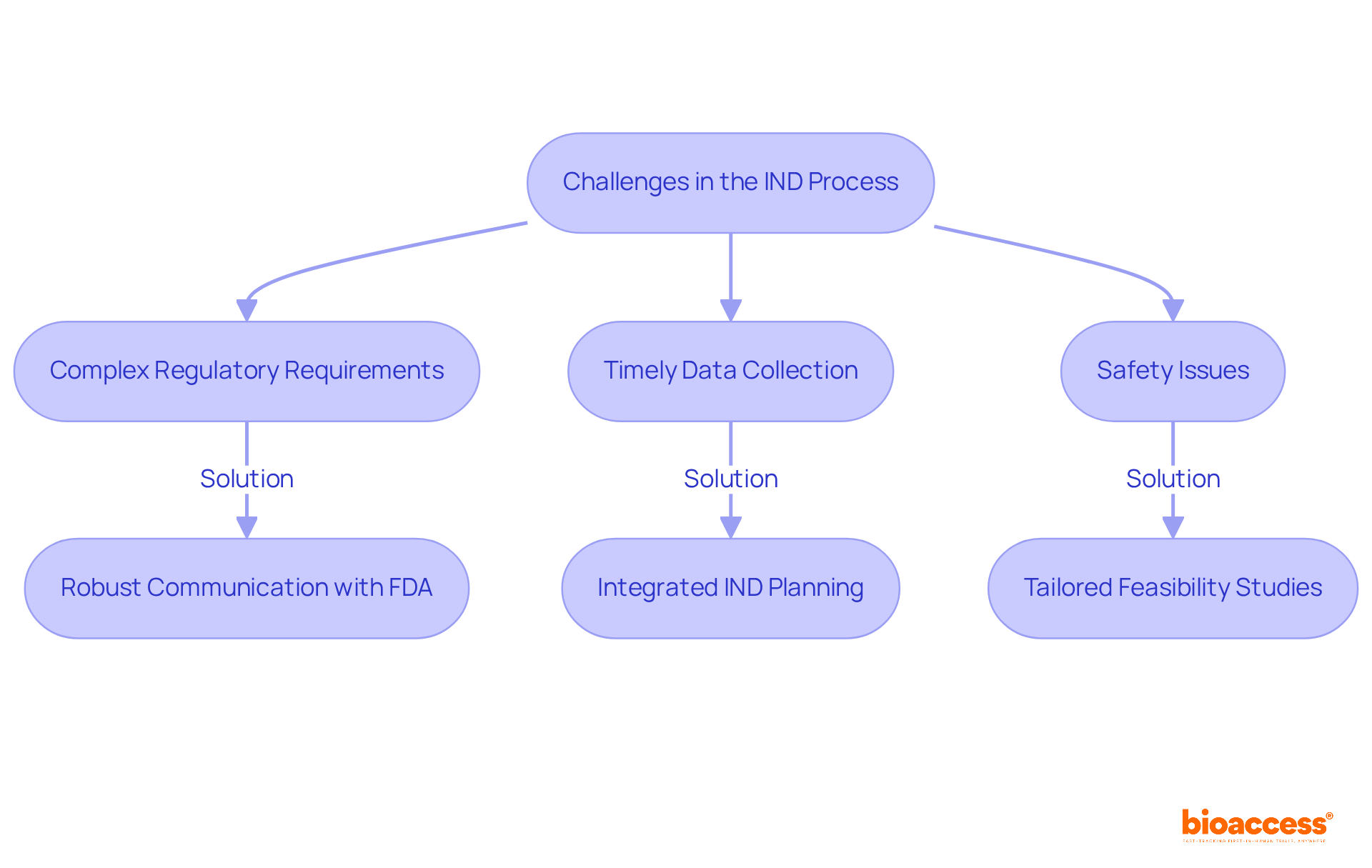 Each box represents a challenge or strategy in the IND process — follow the arrows to see how to move from challenges to effective solutions.
