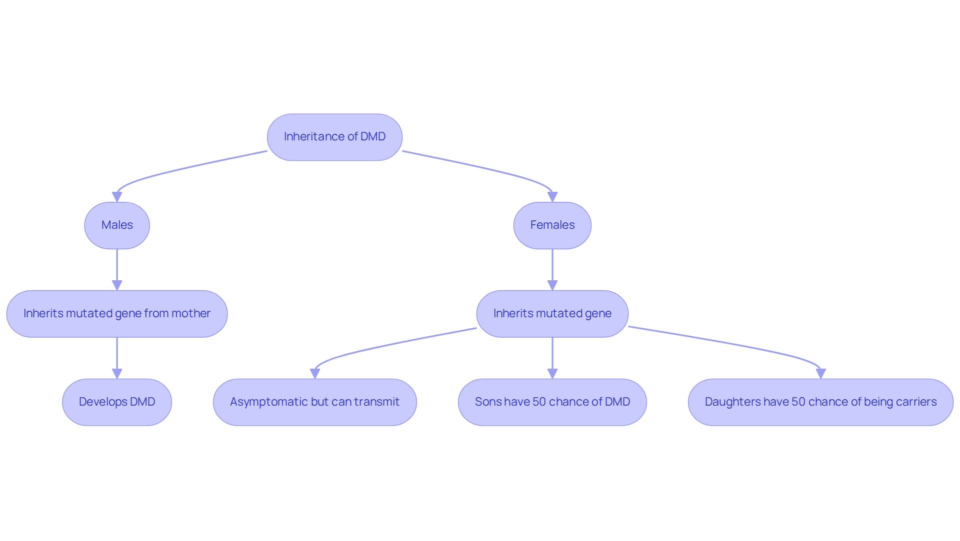 This flowchart illustrates how Duchenne Muscular Dystrophy is inherited. Follow the arrows to see how the disease is passed from mothers to their children, and understand the differences in outcomes for males and females.