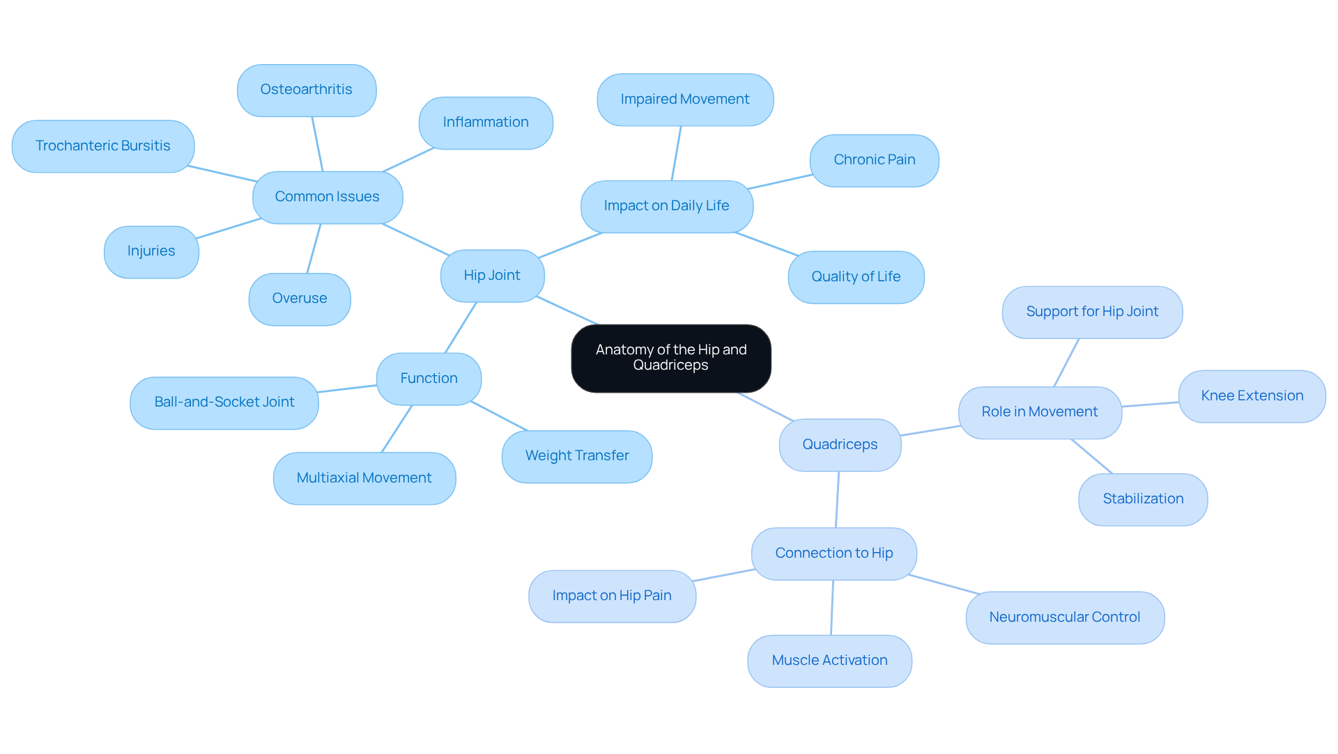 This mindmap starts with the hip and quadriceps at the center. Follow the branches to explore how they function, the issues that can arise, and how they affect your daily activities. Each color represents a different aspect of the anatomy, making it easier to see how everything connects. This mindmap starts with the hip and quadriceps at the center. Follow the branches to explore how they function, the issues that can arise, and how they affect your daily activities. Each color represents a different aspect of the anatomy, making it easier to see how everything connects.