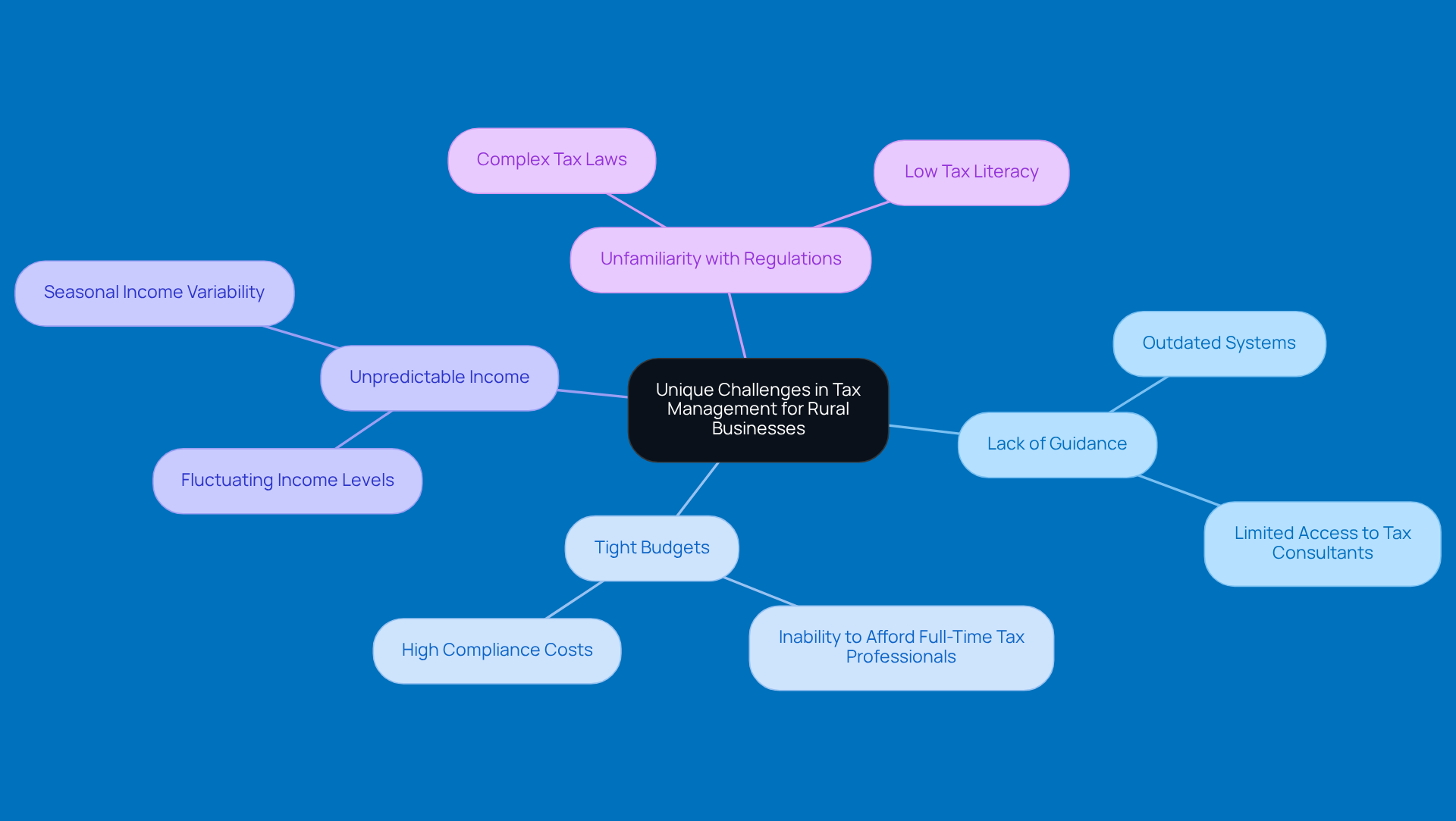 The central node represents the main theme, while the branches show specific challenges. Each sub-branch provides more detail about the issues rural businesses face in tax management. The central node represents the main theme, while the branches show specific challenges. Each sub-branch provides more detail about the issues rural businesses face in tax management.