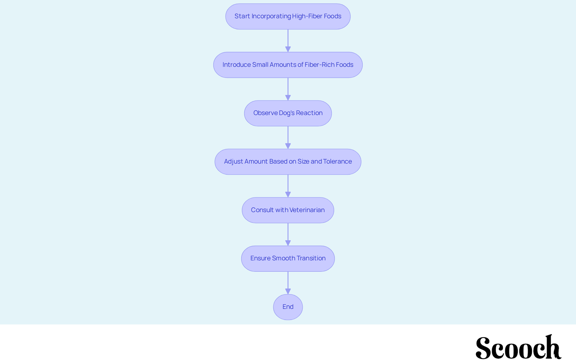 Follow the arrows to see how to gradually introduce high-fiber foods to your dog. Each step is important for ensuring your dog's digestive health and comfort. Follow the arrows to see how to gradually introduce high-fiber foods to your dog. Each step is important for ensuring your dog's digestive health and comfort.