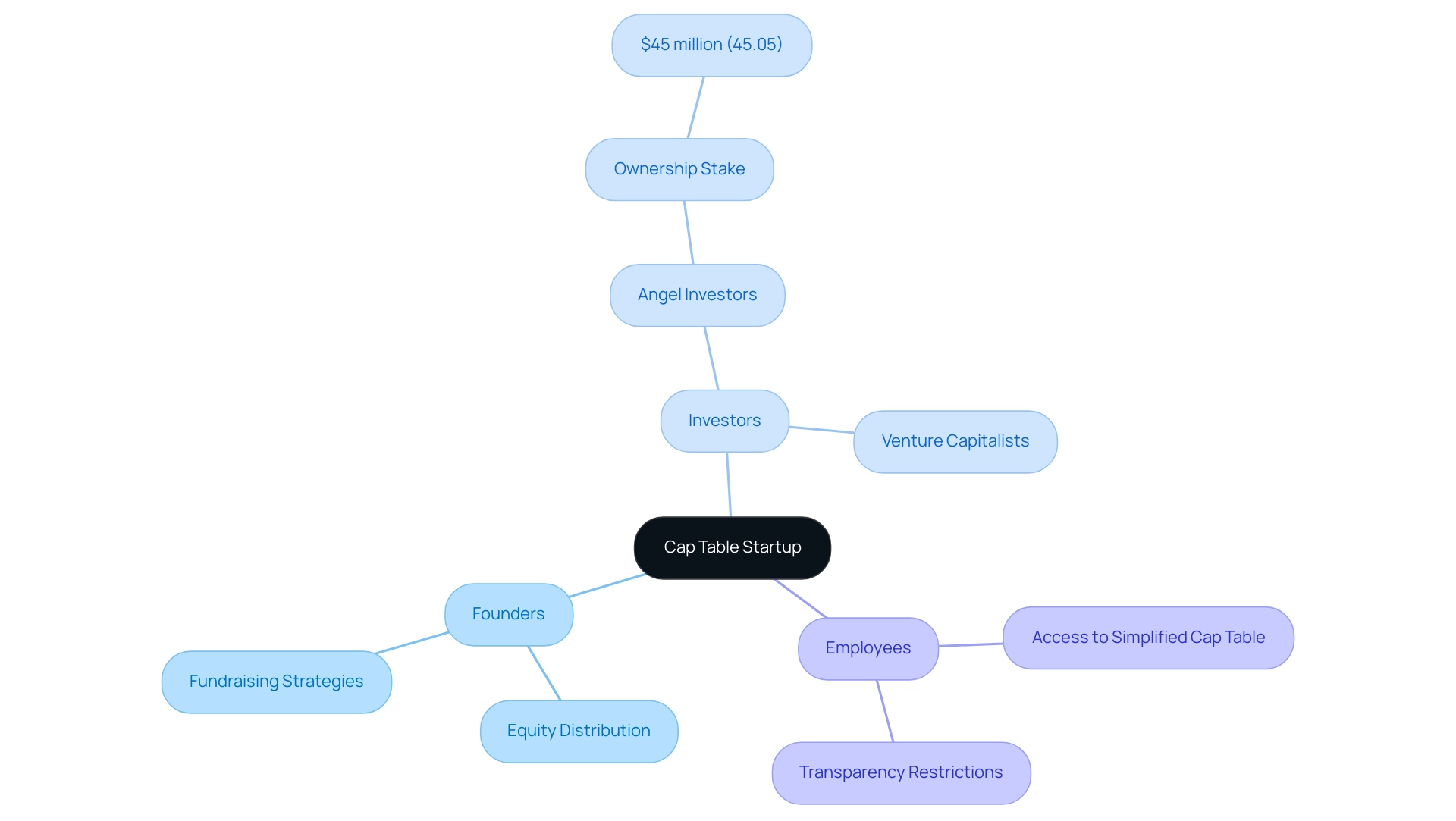 The central node represents the overall cap table concept, with branches showing the main stakeholders and their respective details.