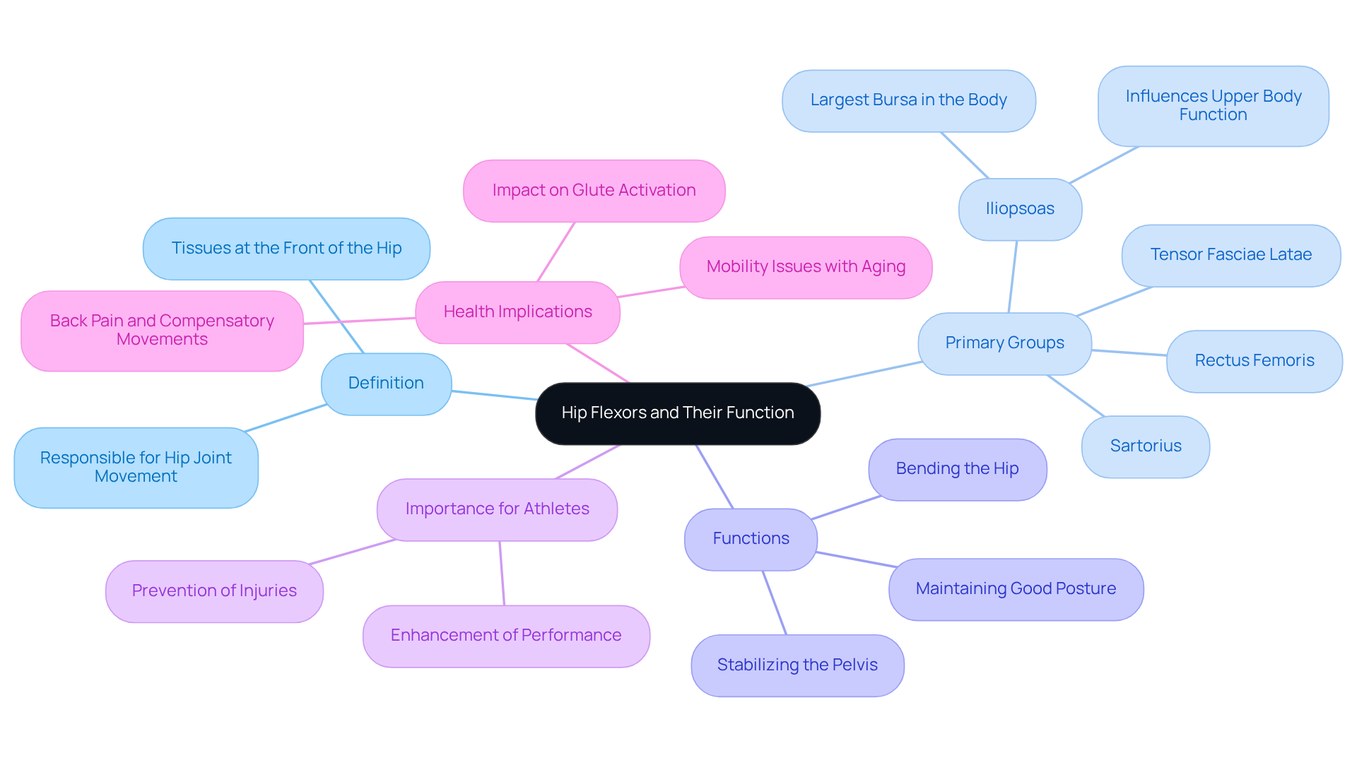This mindmap starts with the main topic of hip flexors at the center. From there, you can explore different branches that explain what hip flexors are, their key groups, their functions in movement, their significance for athletes, and the health implications of tightness. Each branch helps you understand how these elements connect and why they matter for overall mobility and injury prevention. This mindmap starts with the main topic of hip flexors at the center. From there, you can explore different branches that explain what hip flexors are, their key groups, their functions in movement, their significance for athletes, and the health implications of tightness. Each branch helps you understand how these elements connect and why they matter for overall mobility and injury prevention.