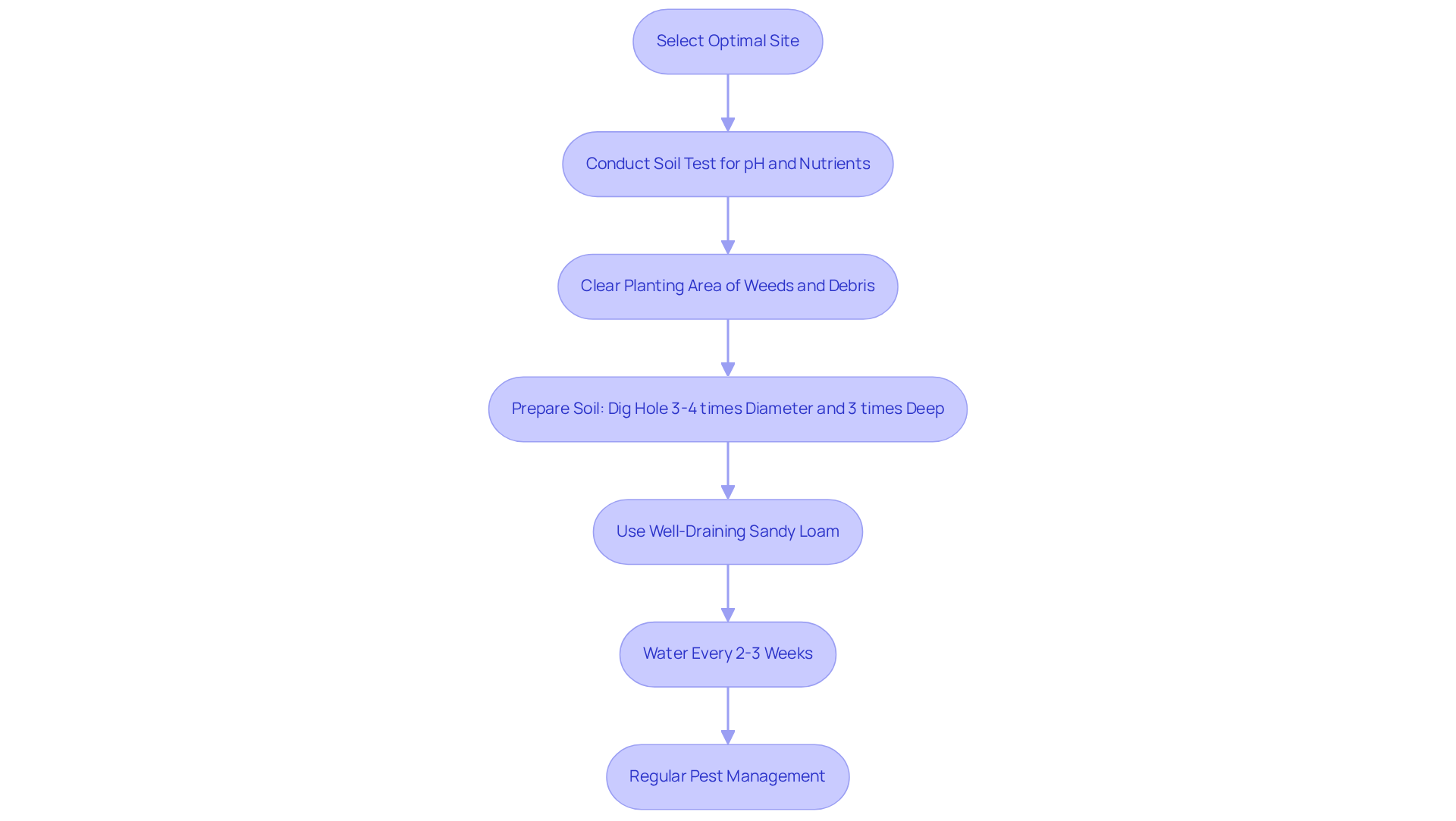 Each box represents a step in preparing for canistel tree cultivation. Follow the arrows to see the order of actions needed for optimal growth and maintenance.