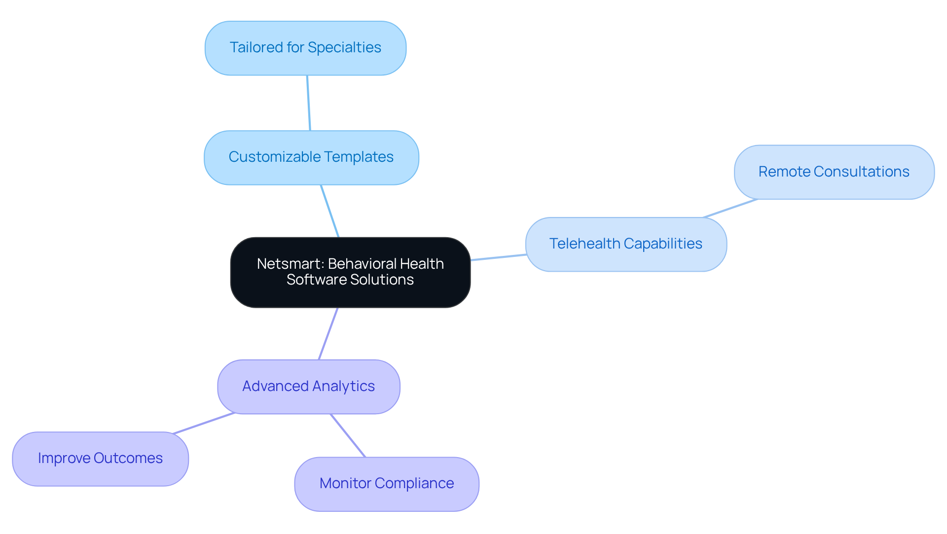 Start at the center with Netsmart's software solutions, then explore the branches to see each key feature and how they enhance patient care and operational efficiency.
