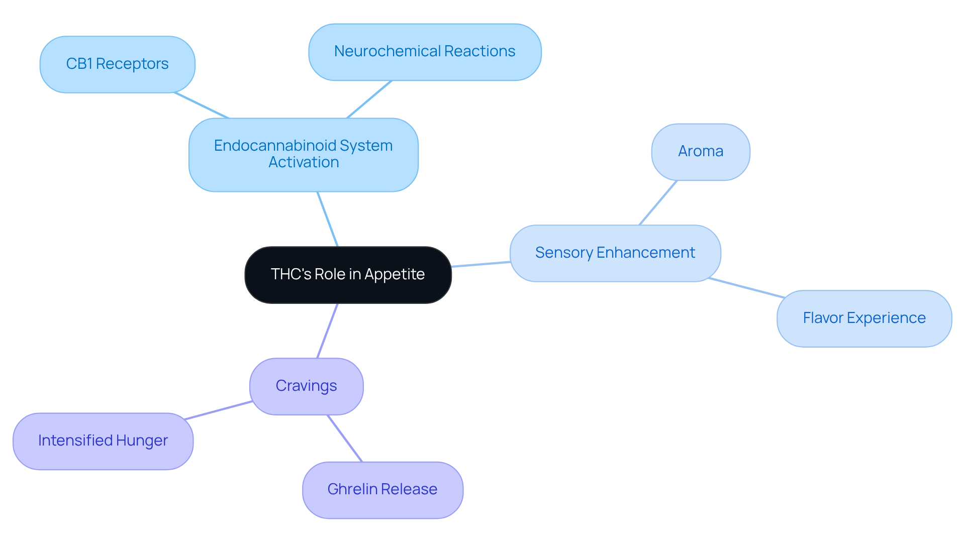 The central node represents THC's role, with branches showing how it affects appetite through different mechanisms. Each branch highlights a specific effect, making it easy to see how they connect to the overall theme. The central node represents THC's role, with branches showing how it affects appetite through different mechanisms. Each branch highlights a specific effect, making it easy to see how they connect to the overall theme.