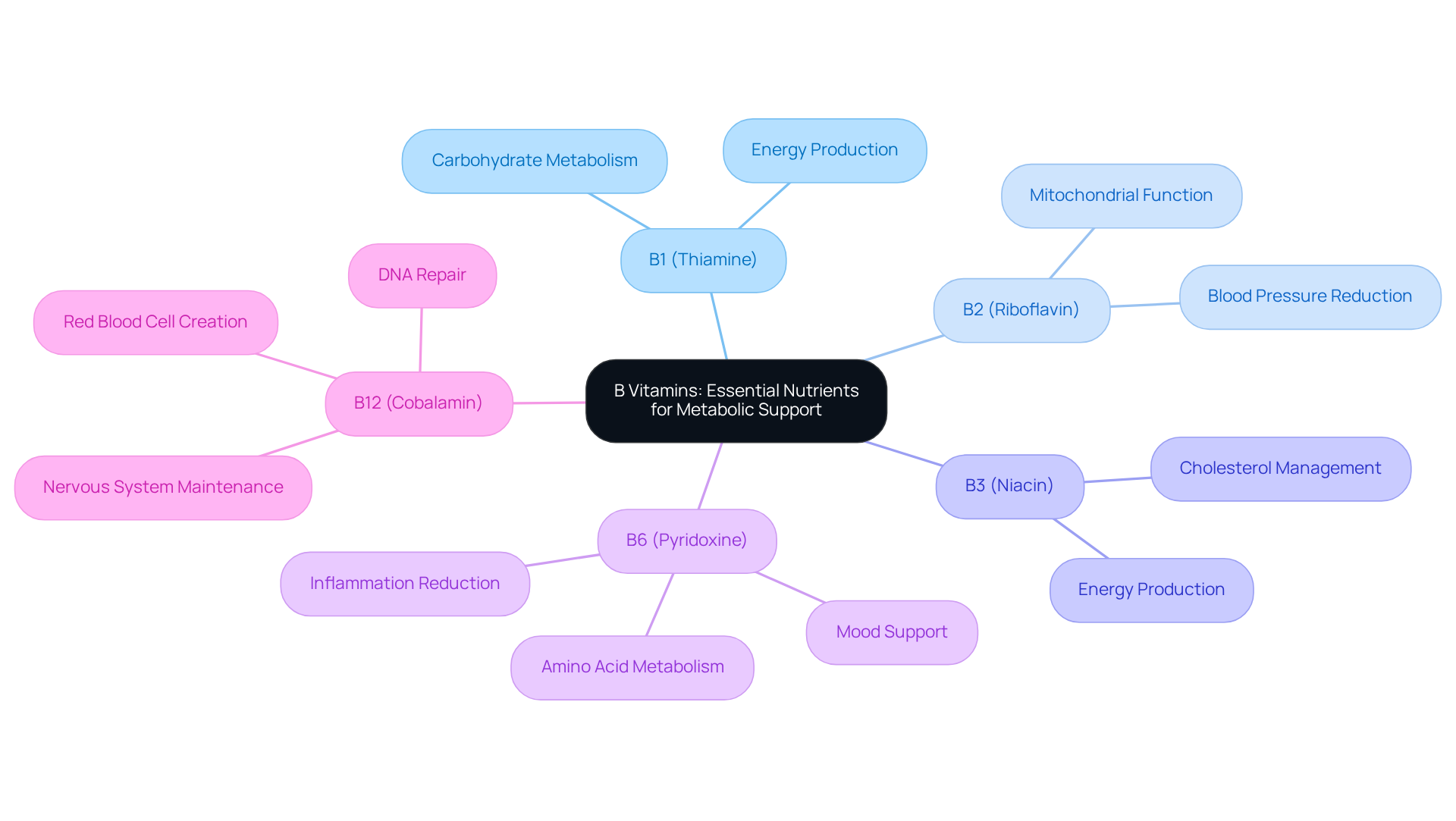 This mindmap shows how different B vitamins contribute to your health. Start at the center with the main topic, then follow the branches to see each vitamin and its specific benefits. The more you understand these connections, the better you can support your energy and overall well-being! This mindmap shows how different B vitamins contribute to your health. Start at the center with the main topic, then follow the branches to see each vitamin and its specific benefits. The more you understand these connections, the better you can support your energy and overall well-being!
